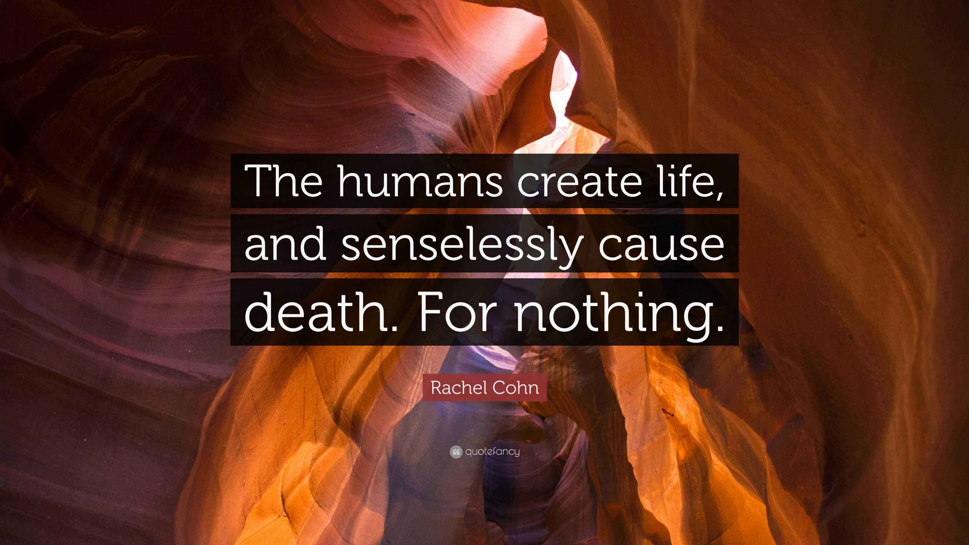 Rachel Cohn Quote: “The humans create life, and senselessly cause death ...