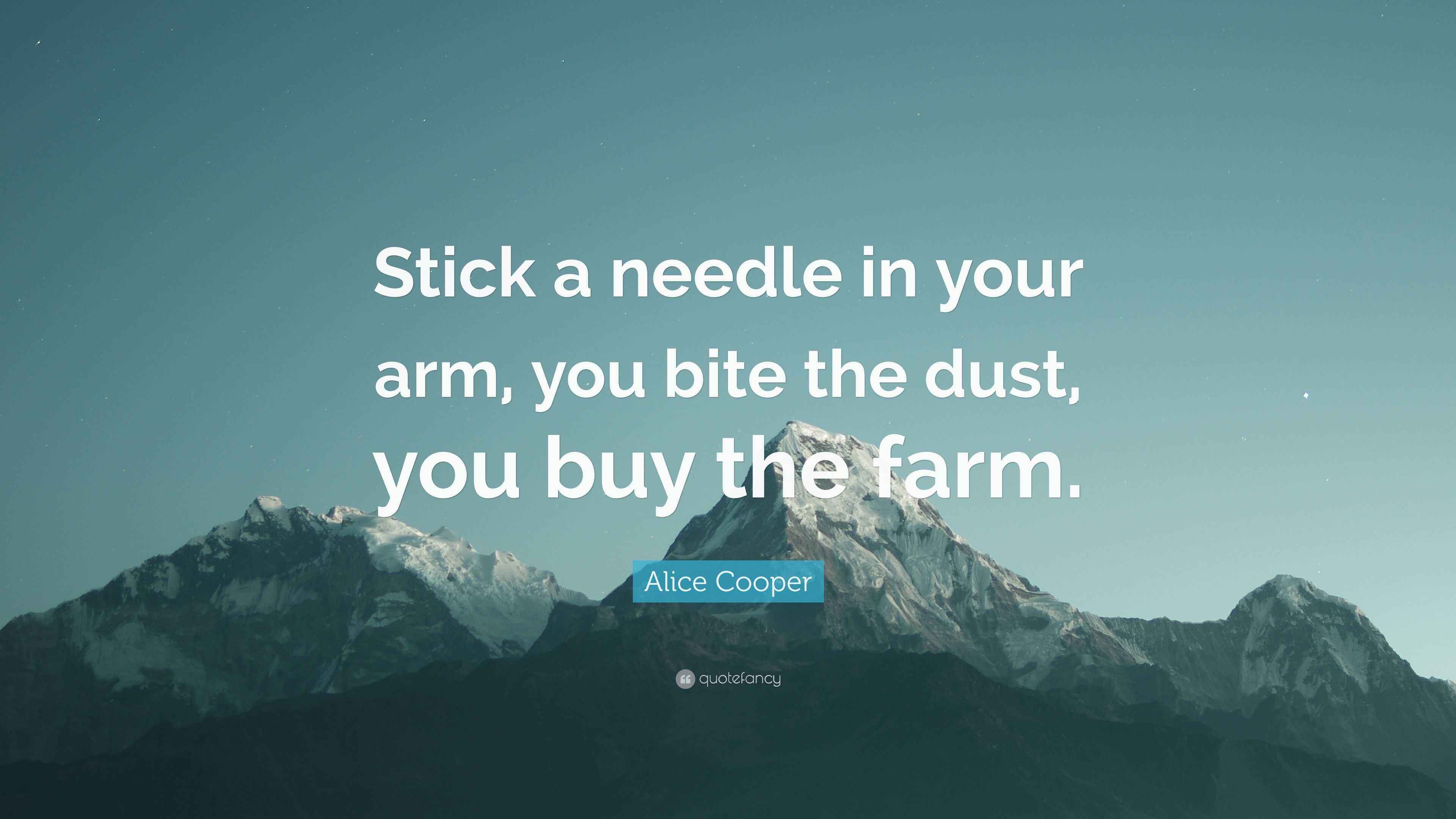 Alice Cooper Quote: “Stick a needle in your arm, you bite the dust, you ...