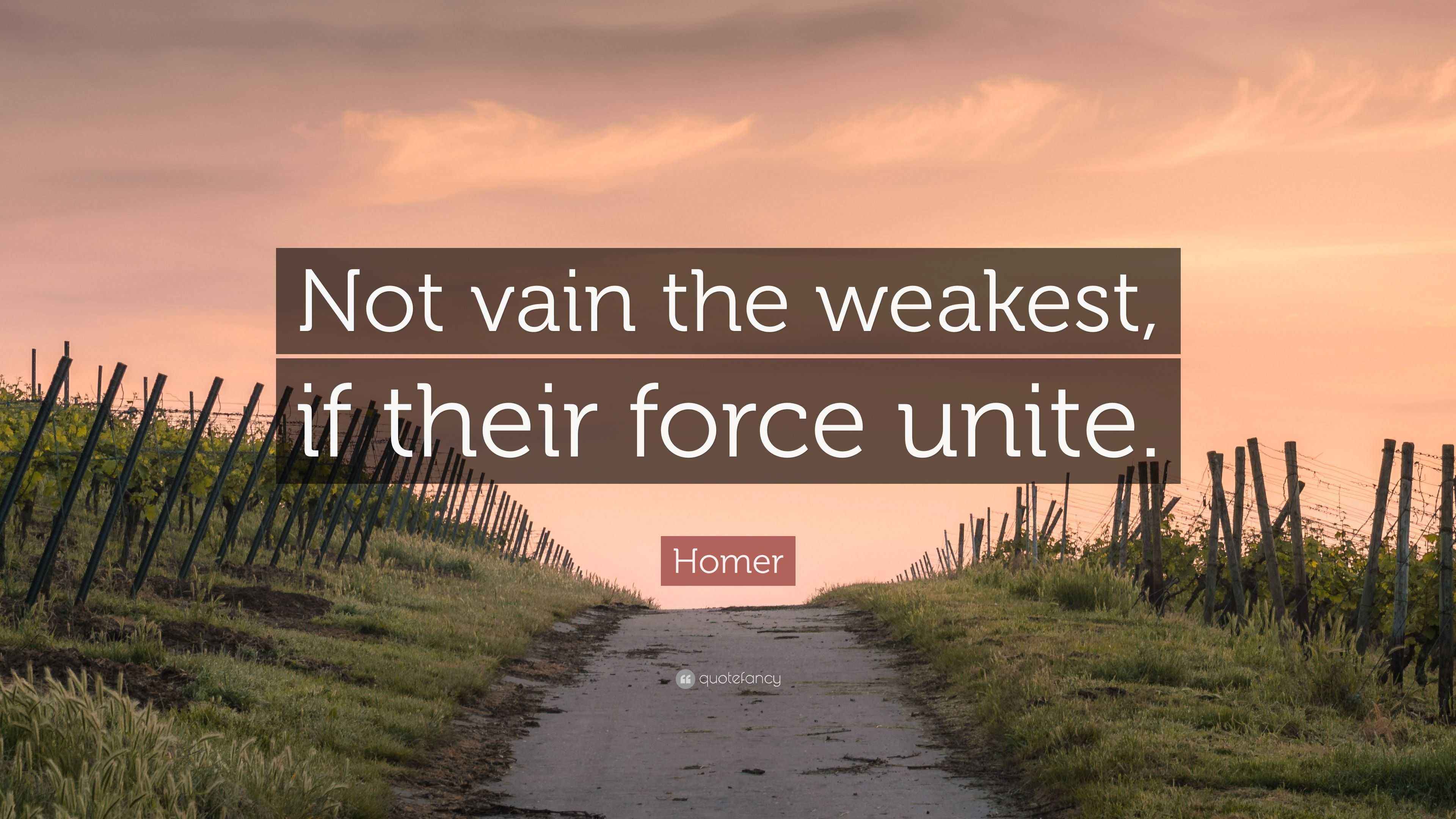 Homer Quote: “Not vain the weakest, if their force unite.”