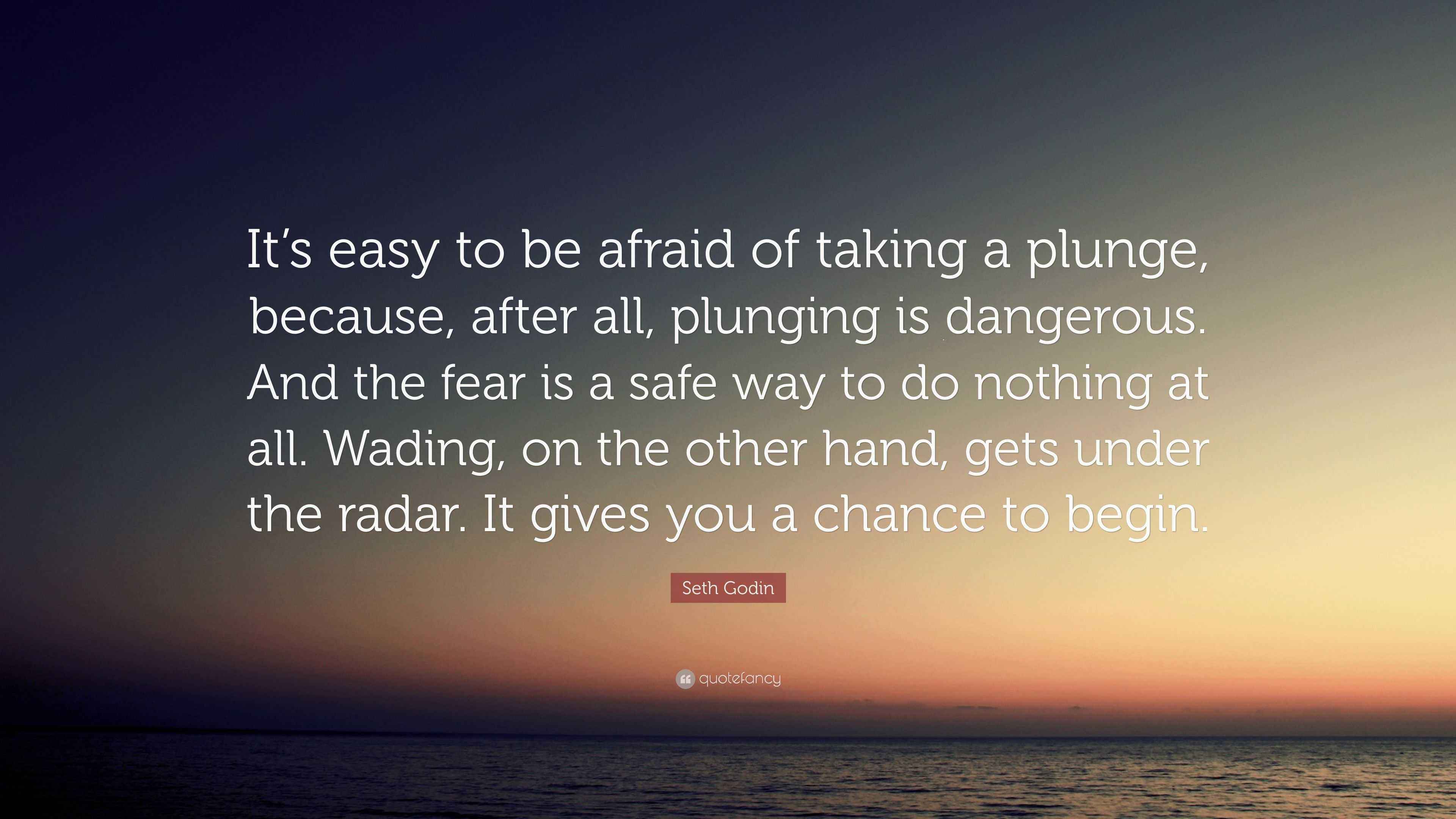Seth Godin Quote: “It’s easy to be afraid of taking a plunge, because ...