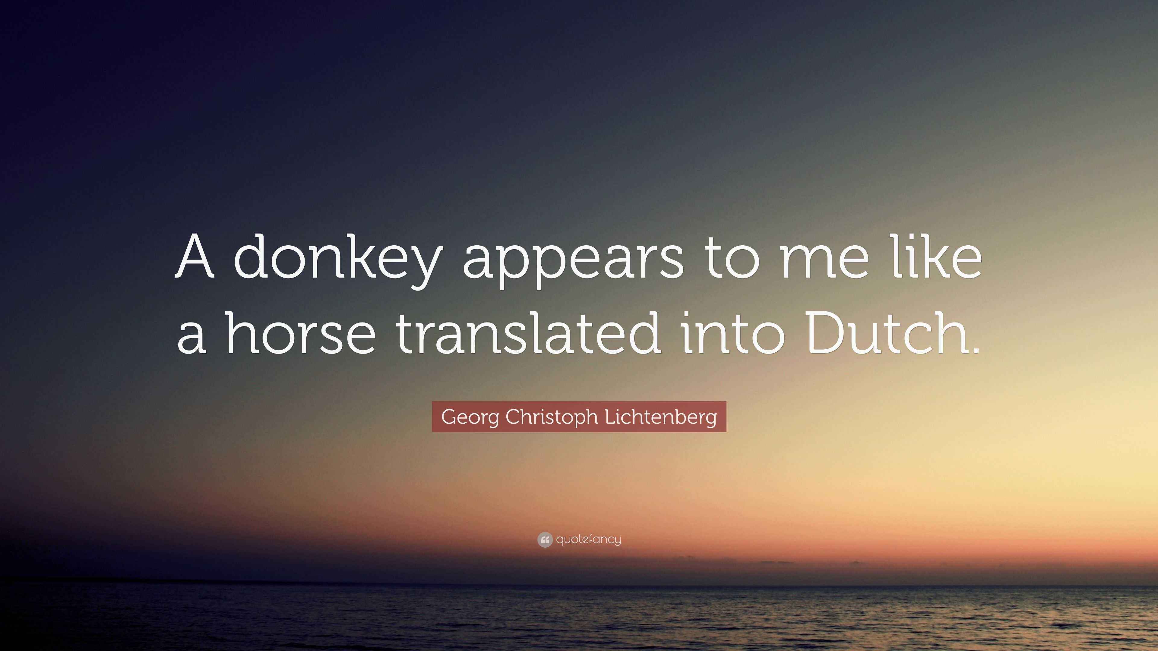 Georg Christoph Lichtenberg Quote: “A donkey appears to me like a horse ...