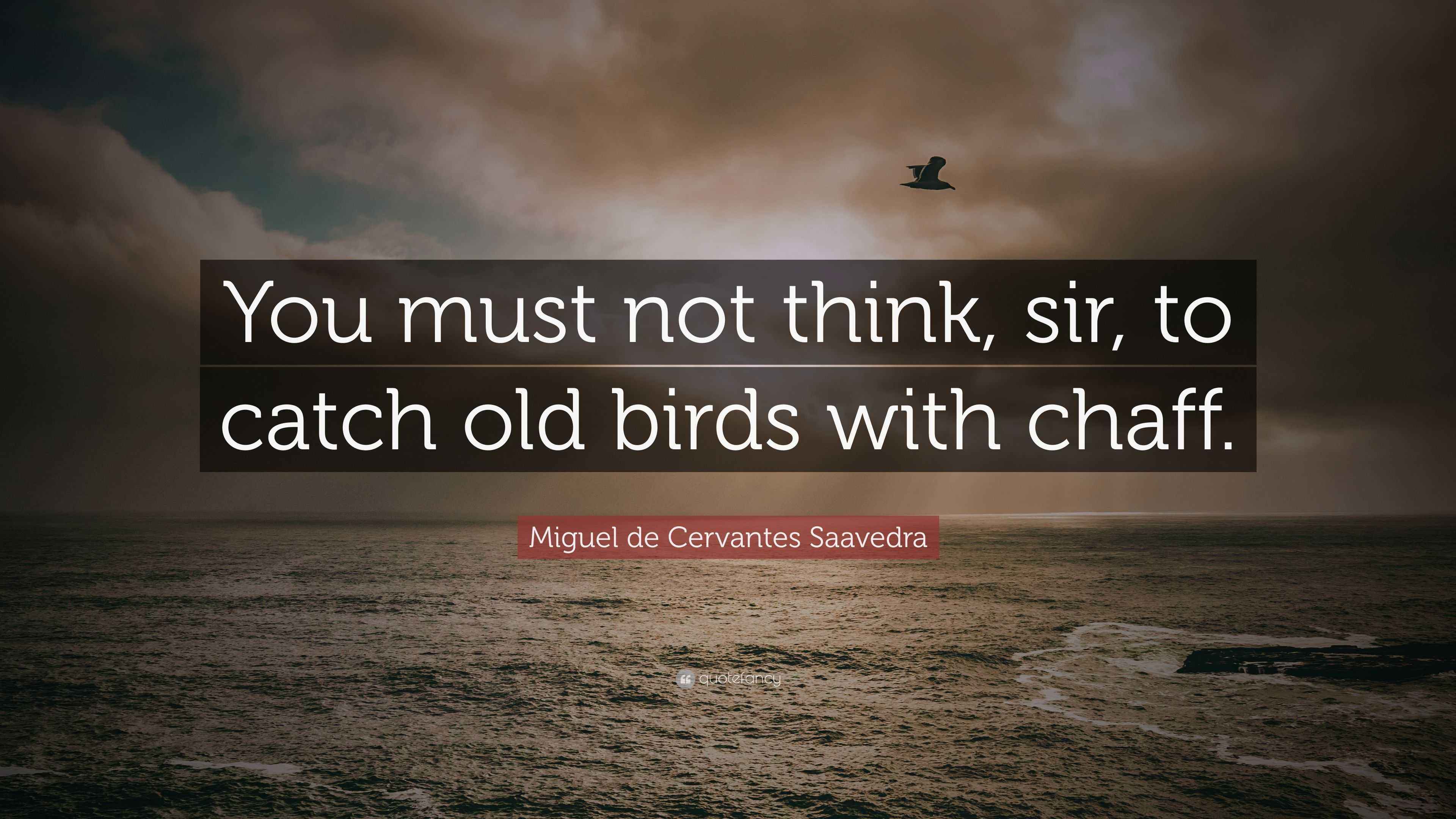 Miguel de Cervantes Saavedra Quote: “You must not think, sir, to catch ...