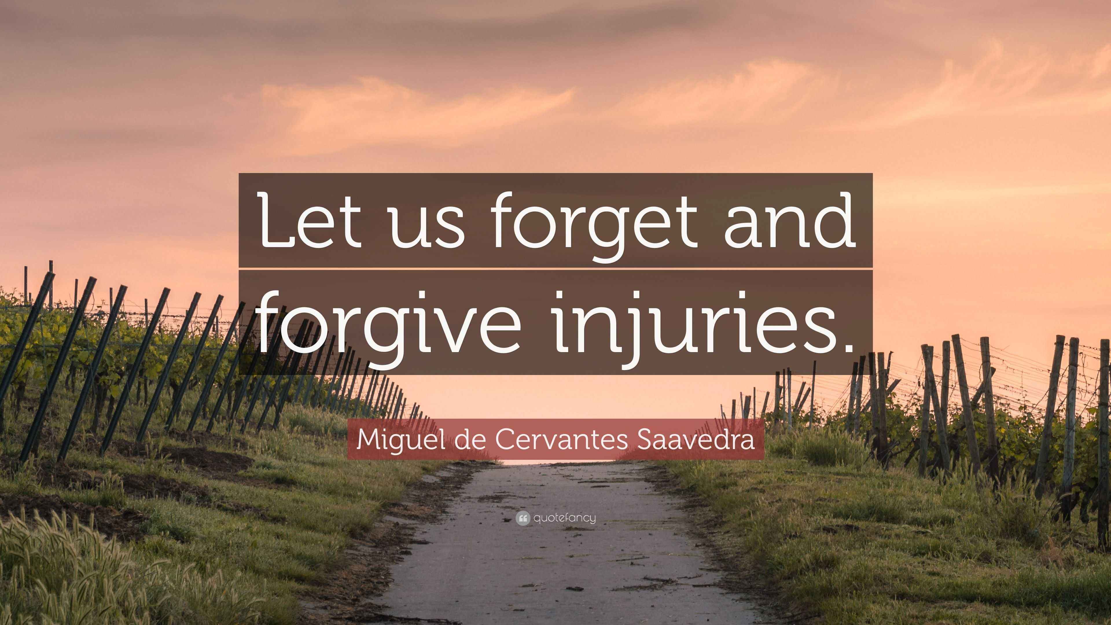 Miguel de Cervantes Saavedra Quote: “Let us forget and forgive injuries.”