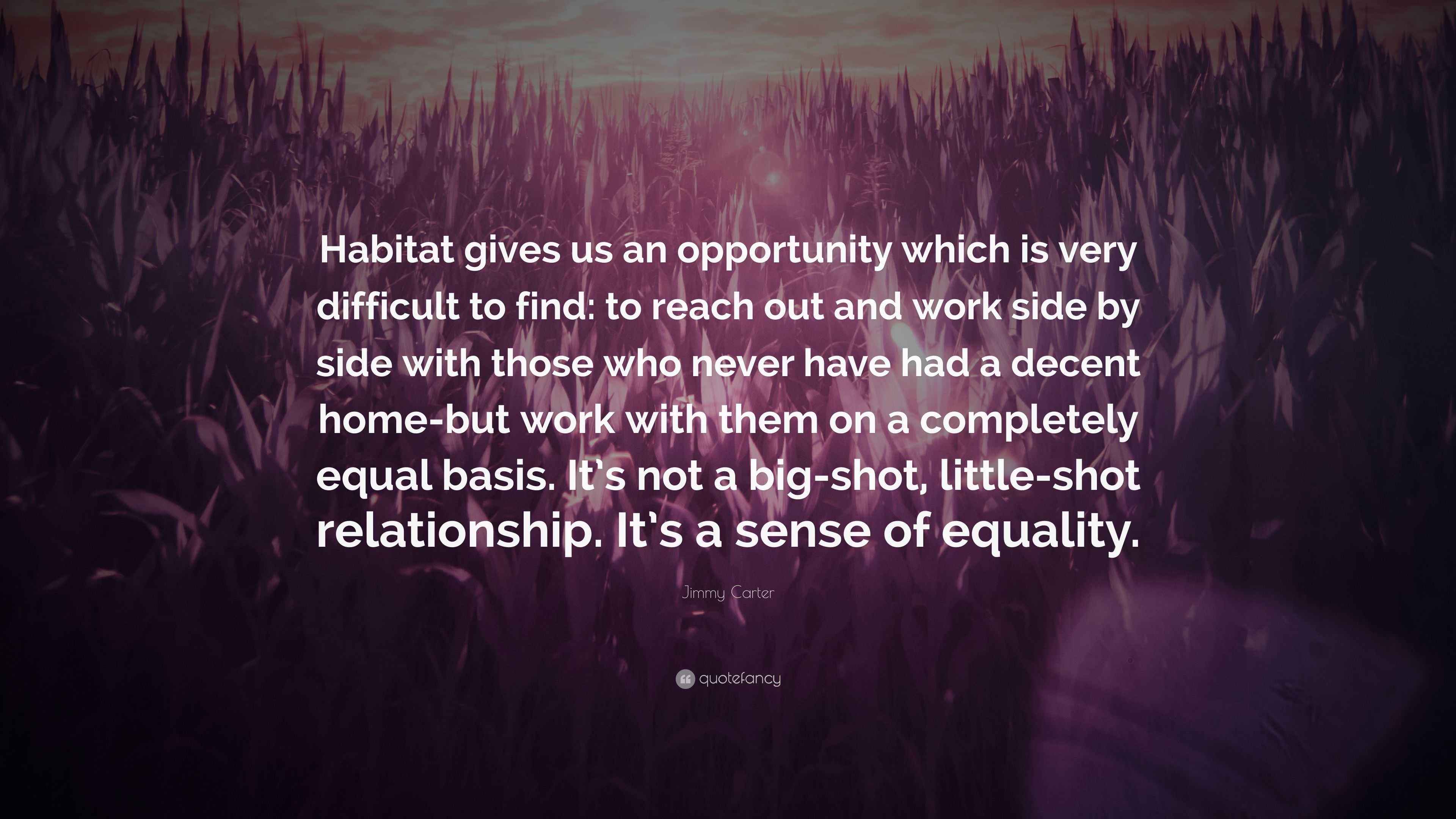 Jimmy Carter Quote: “Habitat gives us an opportunity which is very ...