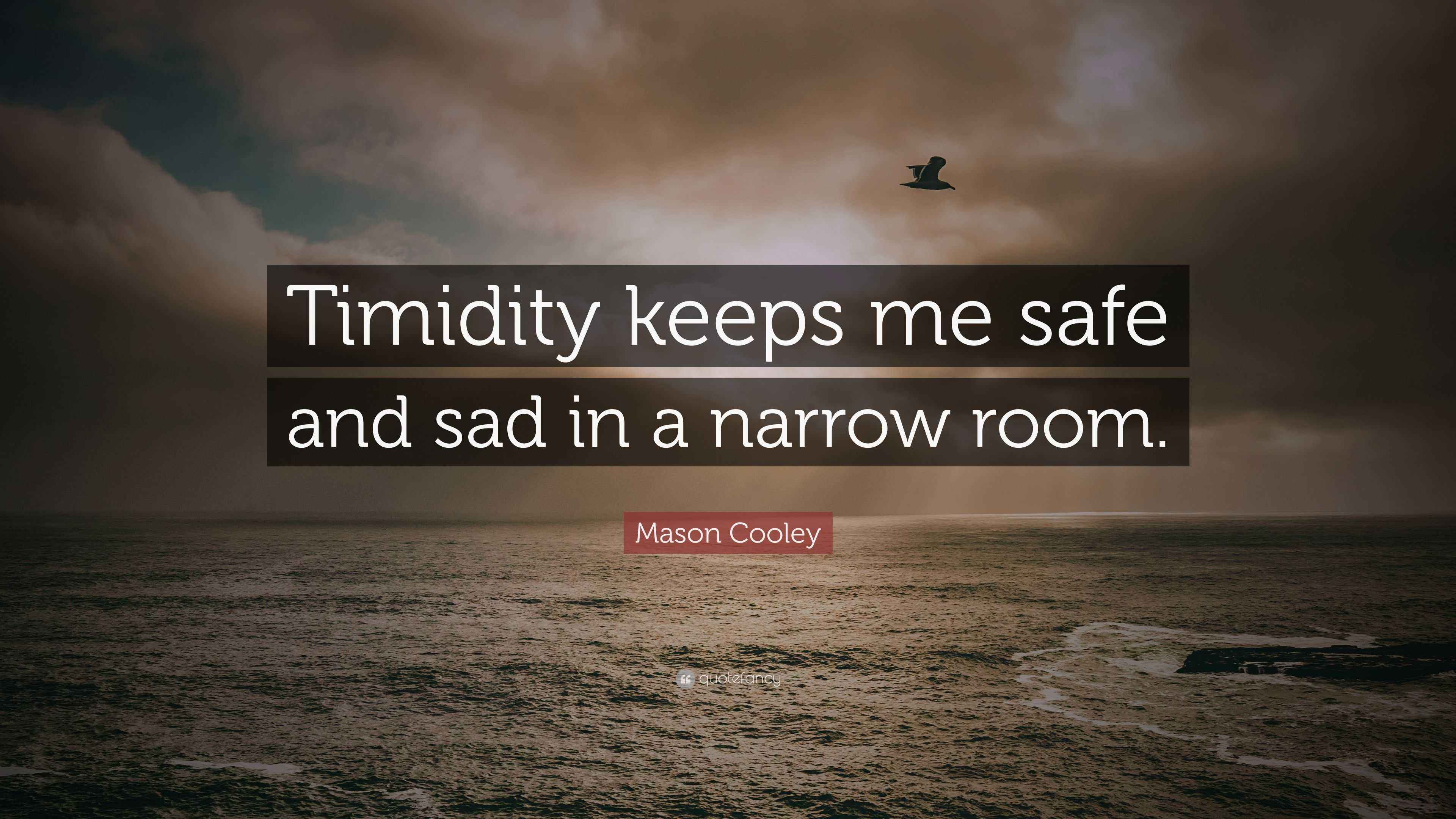 Mason Cooley Quote: “Timidity keeps me safe and sad in a narrow room.”
