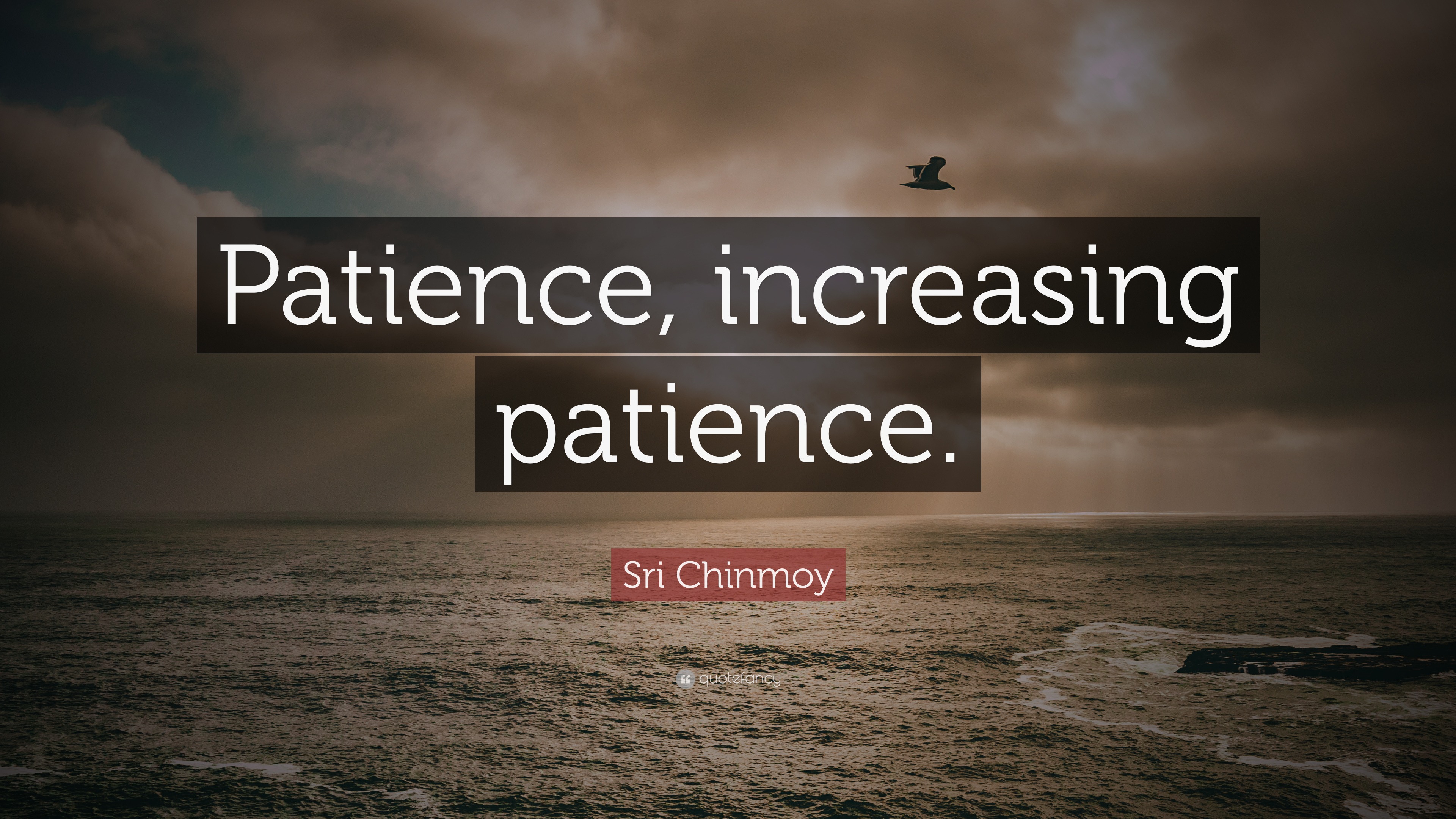 Sri Chinmoy Quote: “Patience, increasing patience.”