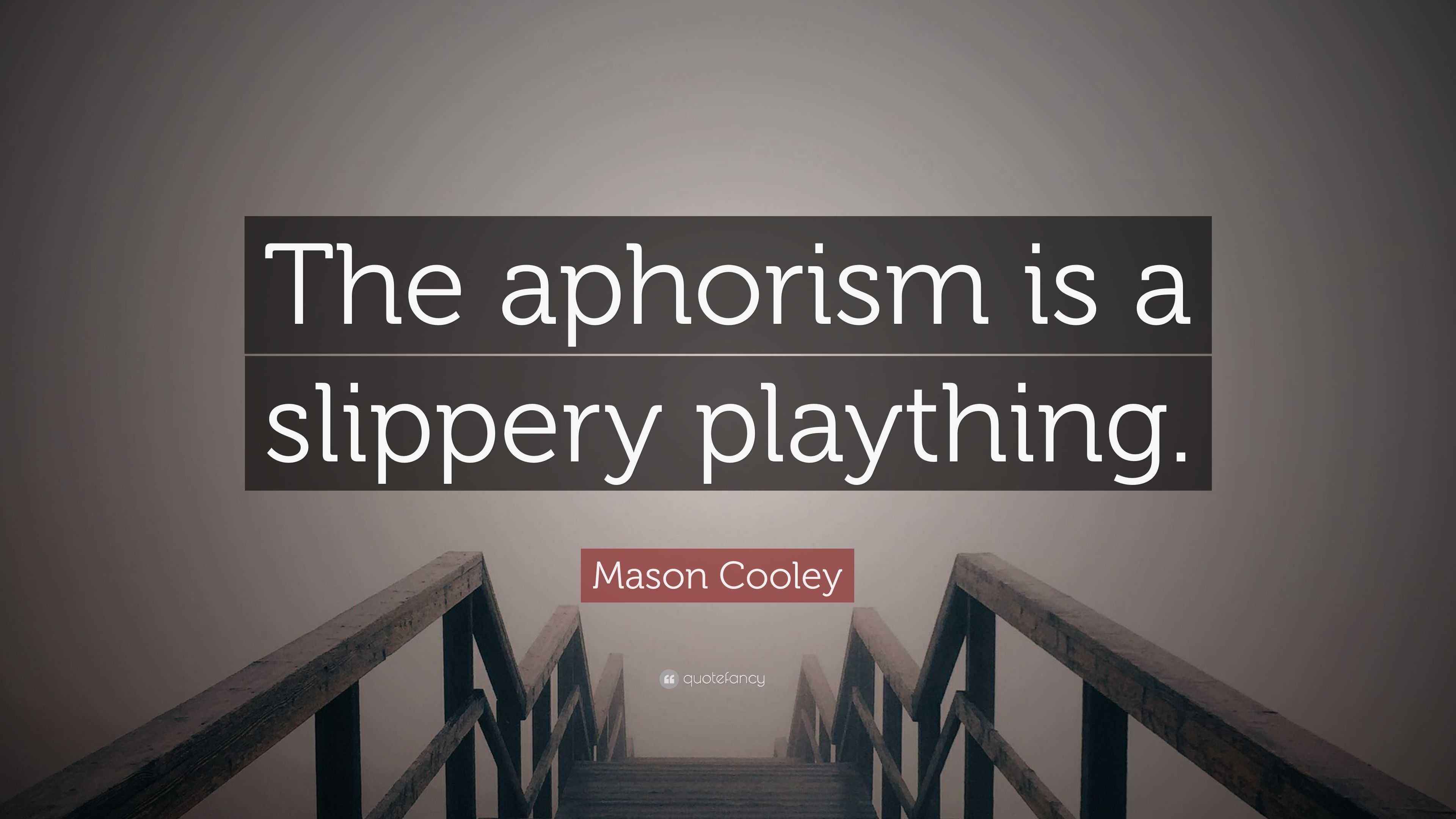 Mason Cooley Quote: “The aphorism is a slippery plaything.”