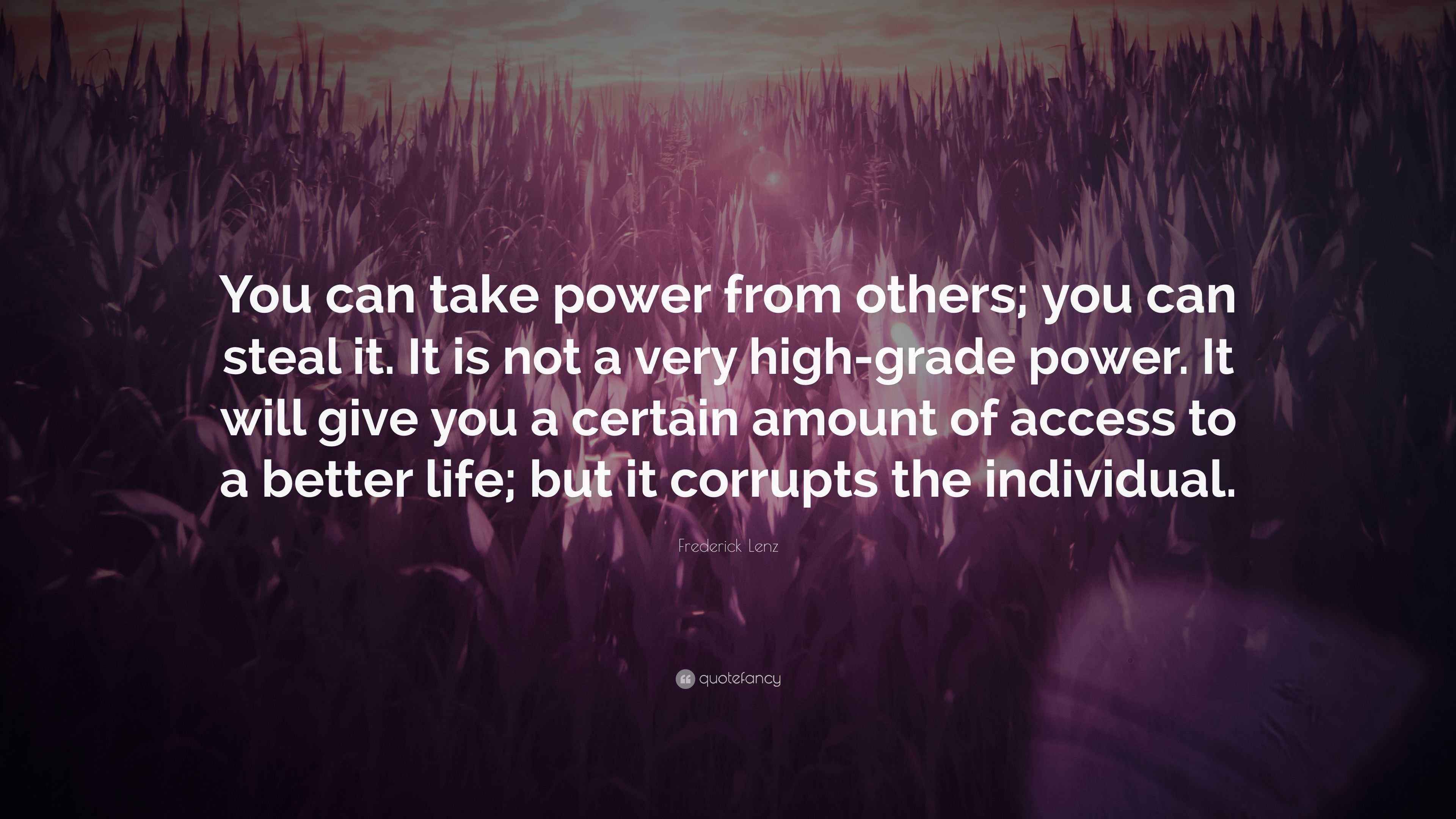 Frederick Lenz Quote: “You can take power from others; you can steal it ...