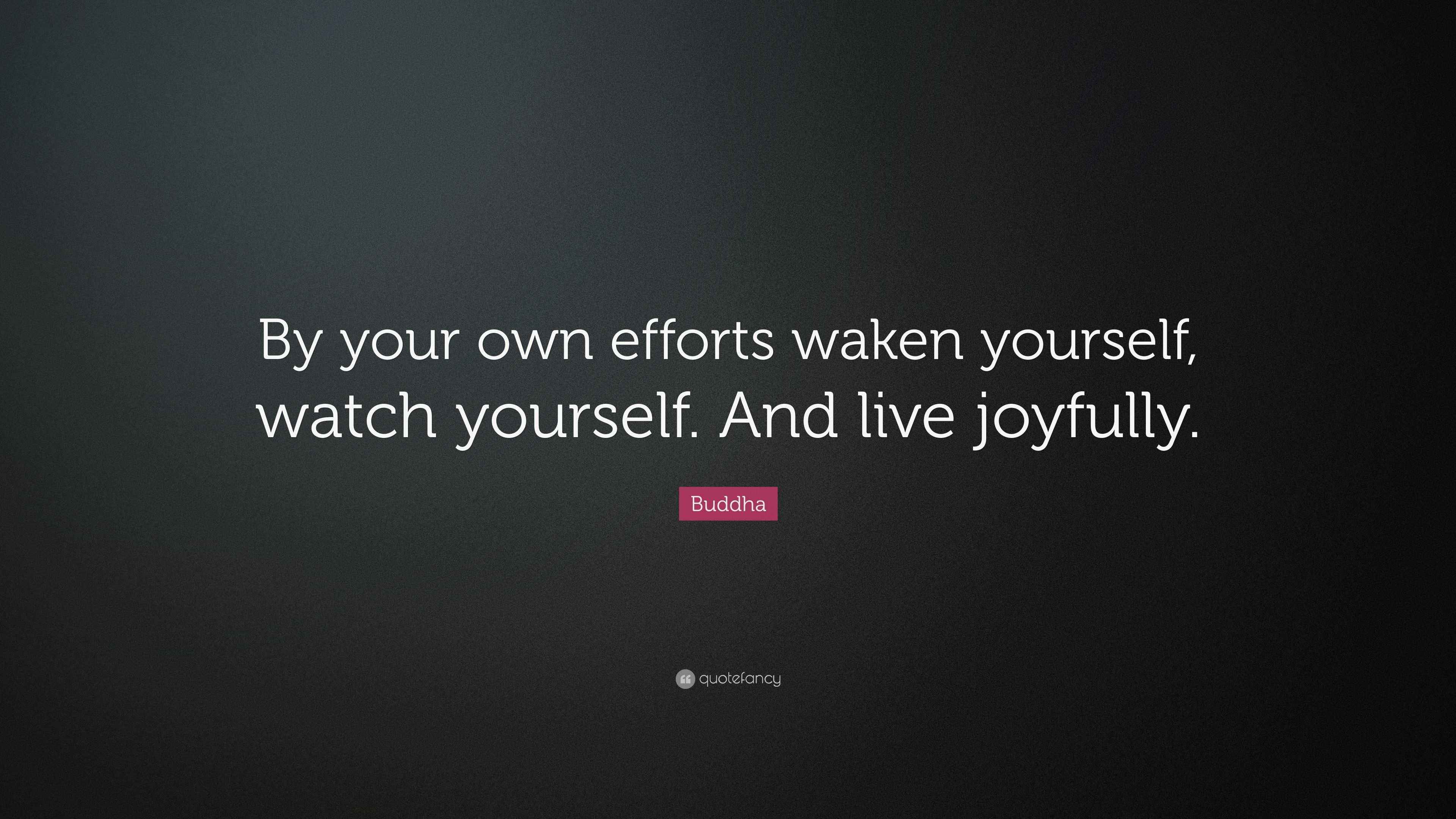 Buddha Quote: “By your own efforts waken yourself, watch yourself. And ...