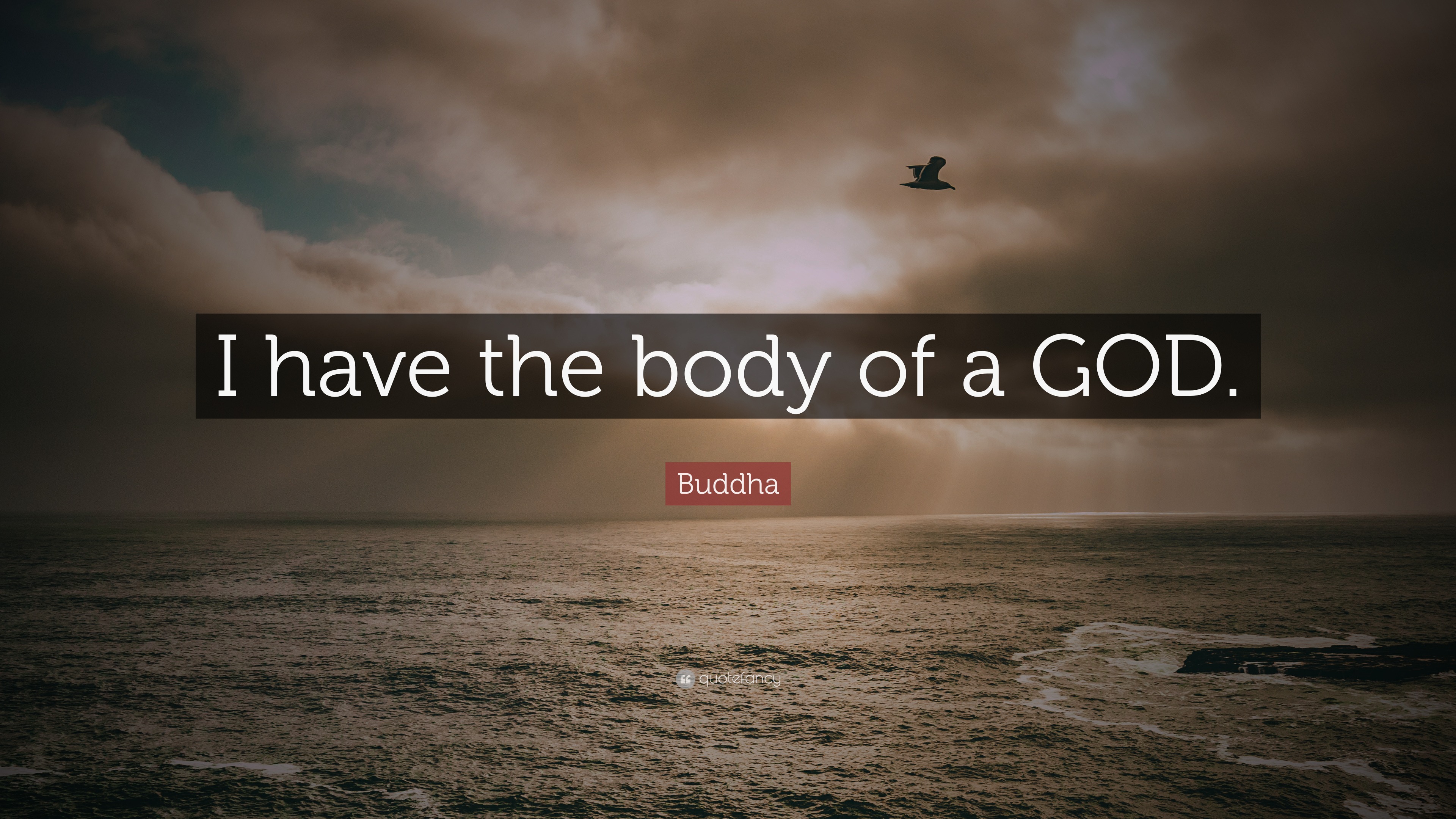 Buddha Quote: “I have the body of a GOD.”