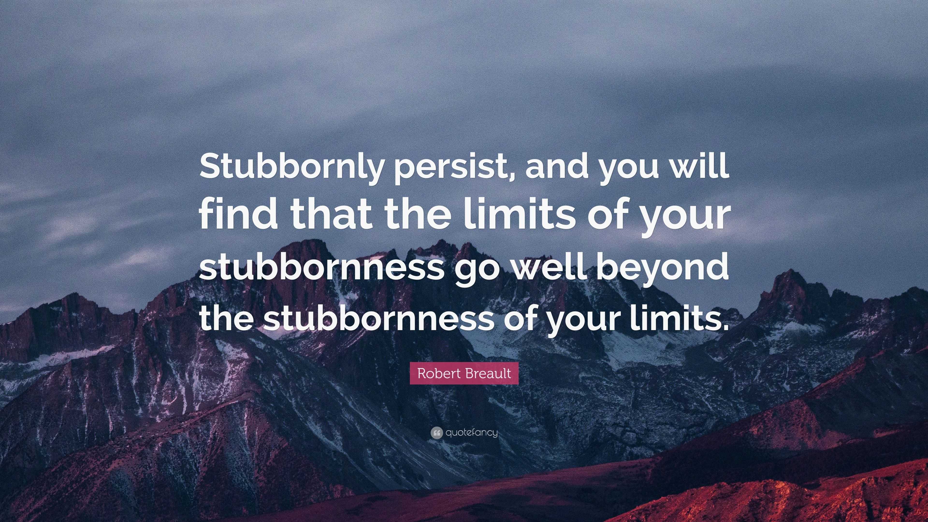 Robert Breault Quote: “Stubbornly persist, and you will find that the ...