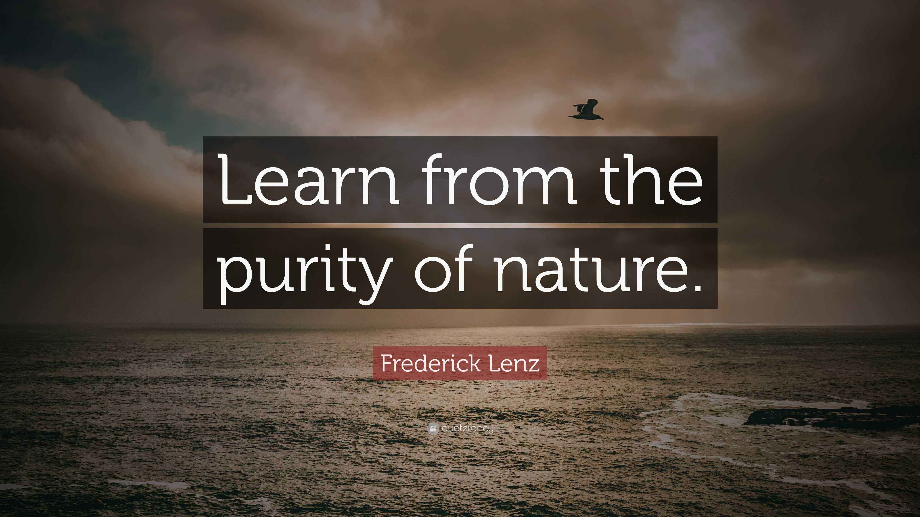 Frederick Lenz Quote: “Learn from the purity of nature.”