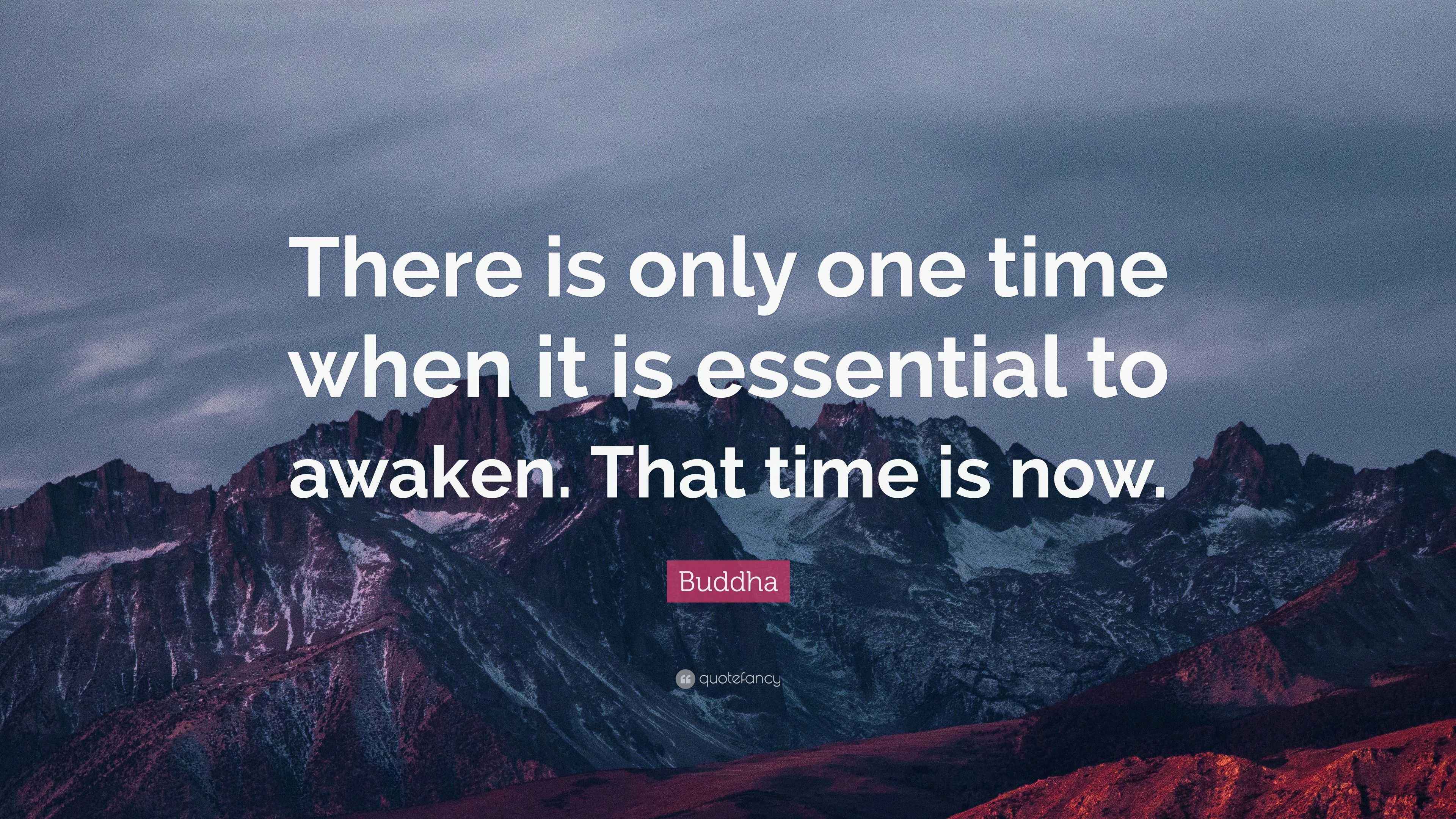 Buddha Quote: “There is only one time when it is essential to awaken ...