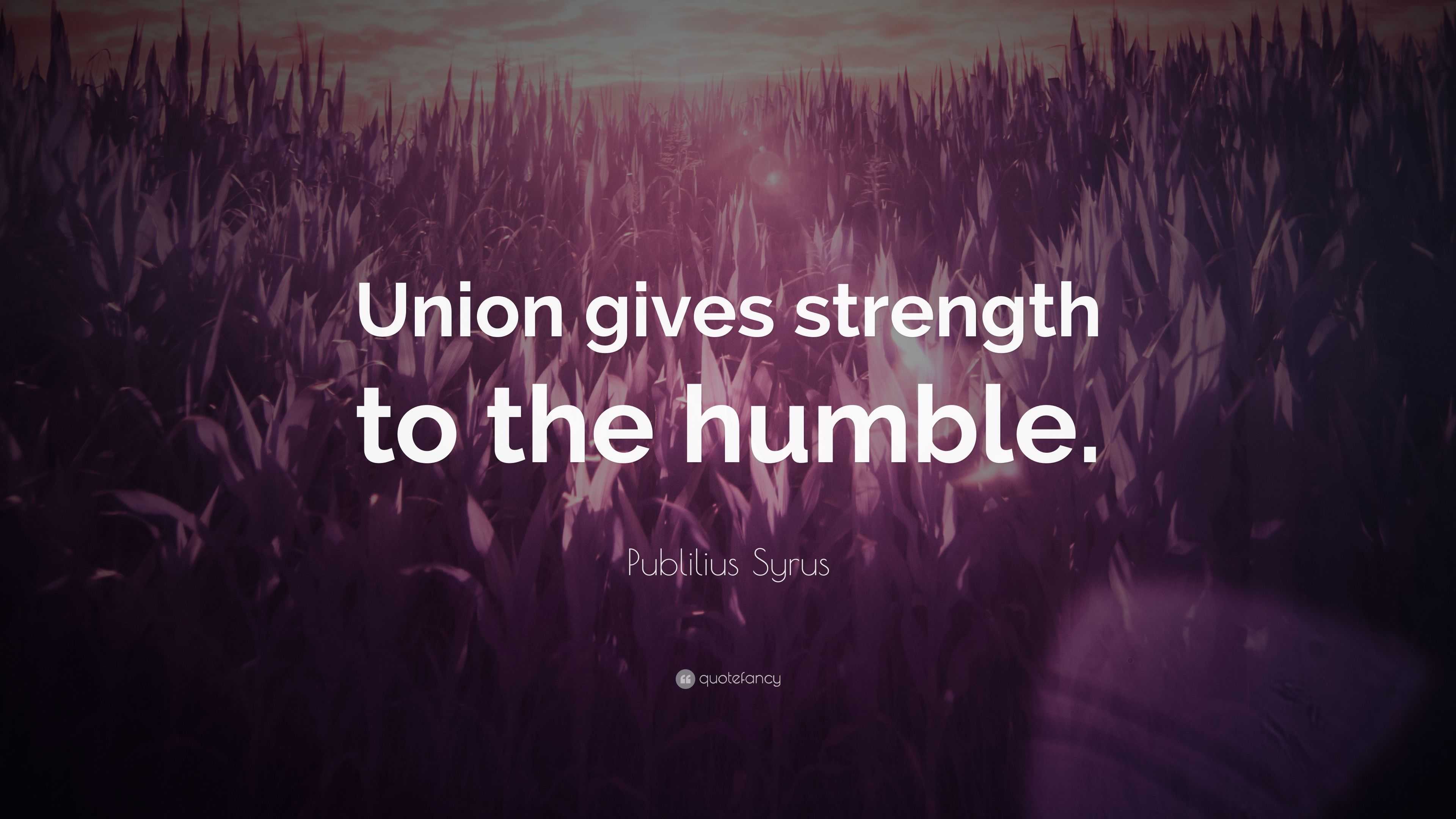 Publilius Syrus Quote: “Union gives strength to the humble.”