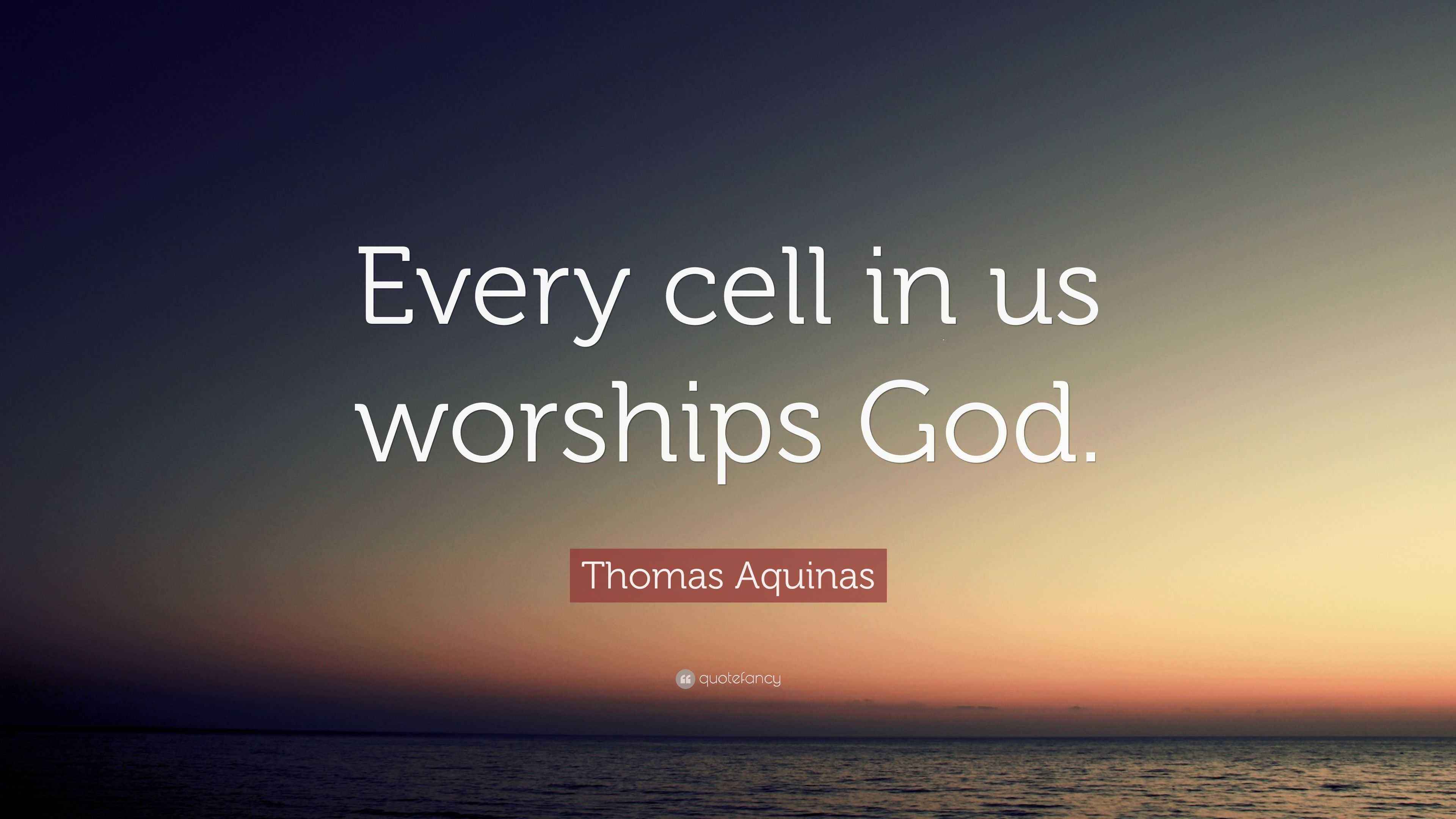 Thomas Aquinas Quote: “Every cell in us worships God.”