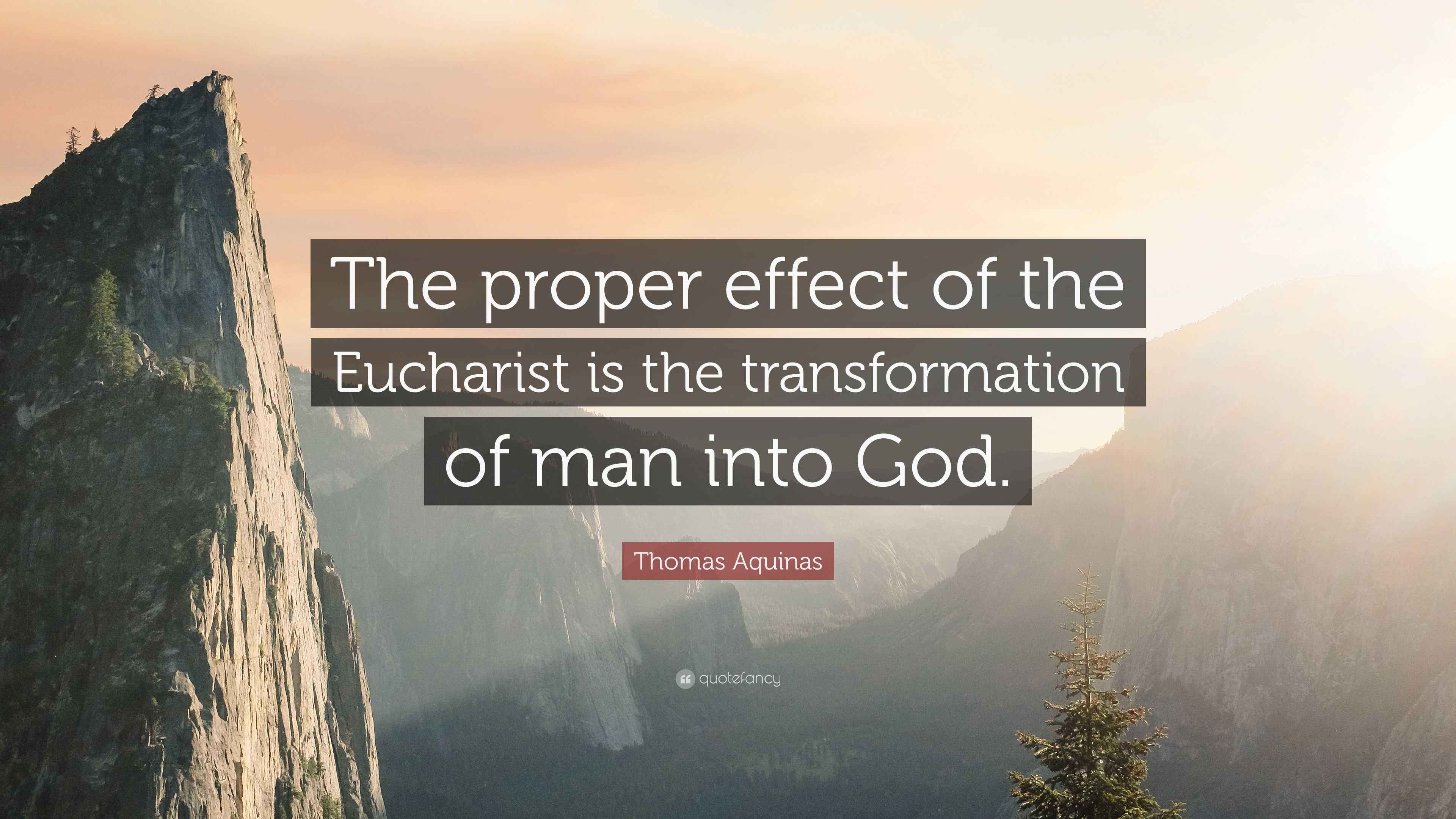 Thomas Aquinas Quote: “The proper effect of the Eucharist is the ...