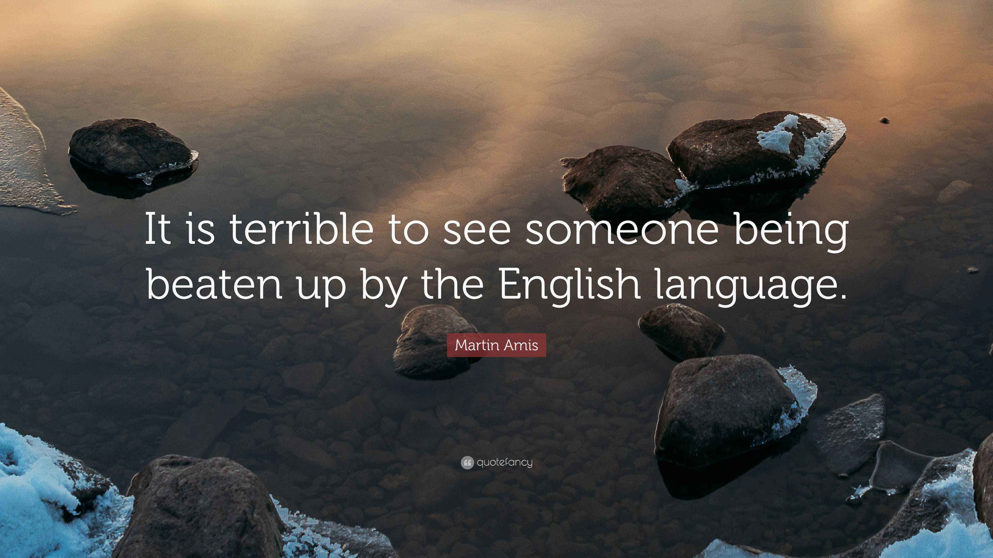 Martin Amis Quote: “It is terrible to see someone being beaten up by ...