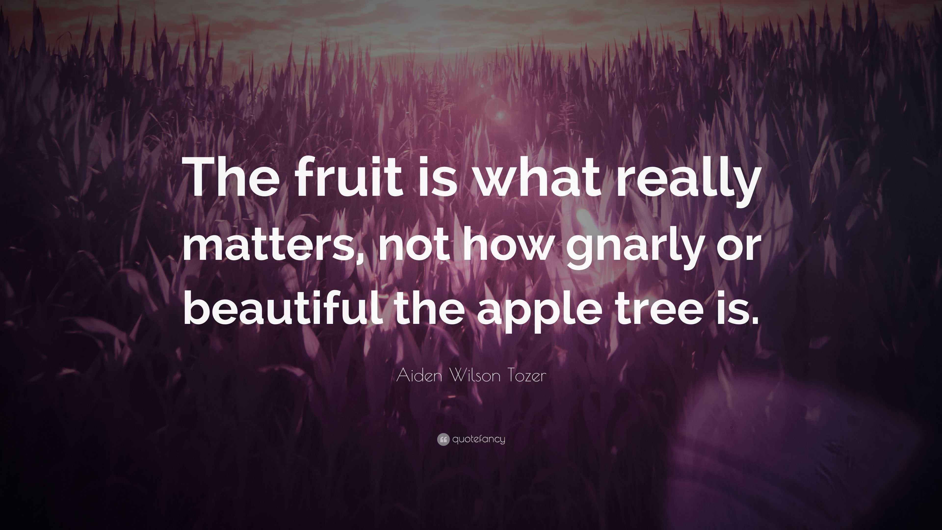 Aiden Wilson Tozer Quote: “The fruit is what really matters, not how ...