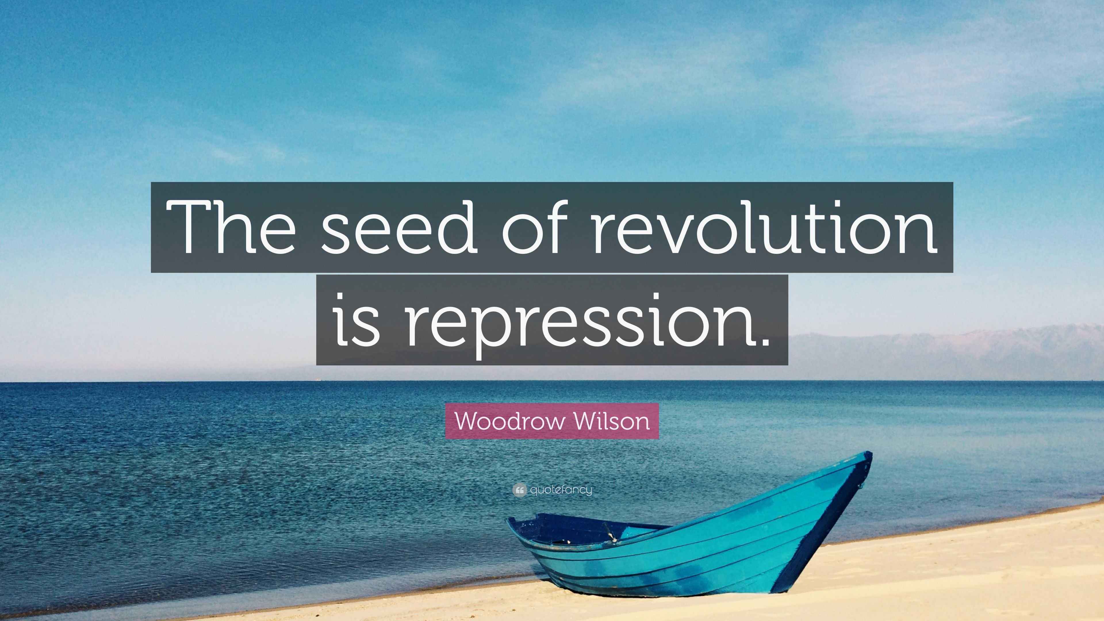 Woodrow Wilson Quote: “The seed of revolution is repression.”