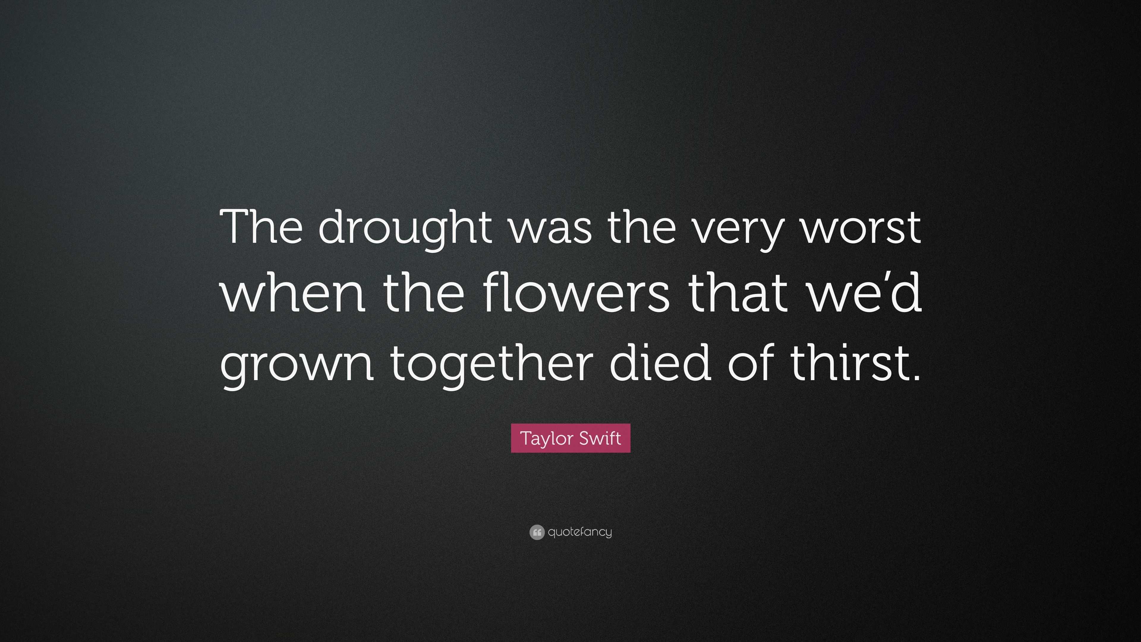Taylor Swift Quote: “The drought was the very worst when the flowers ...