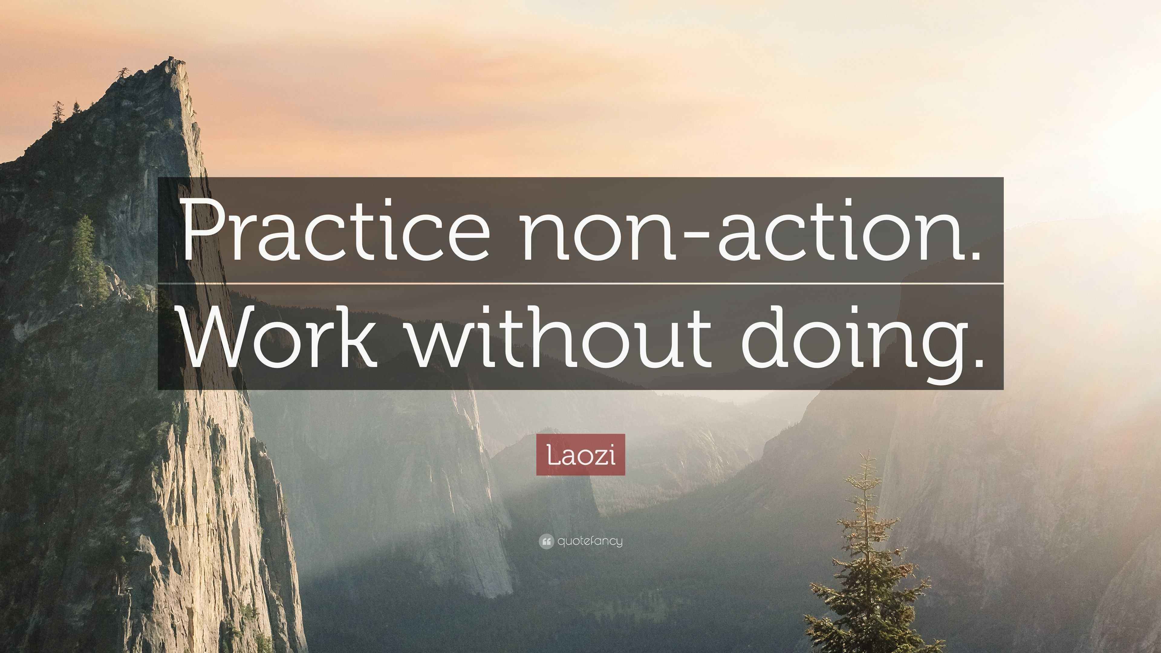 Laozi Quote: “Practice non-action. Work without doing.”