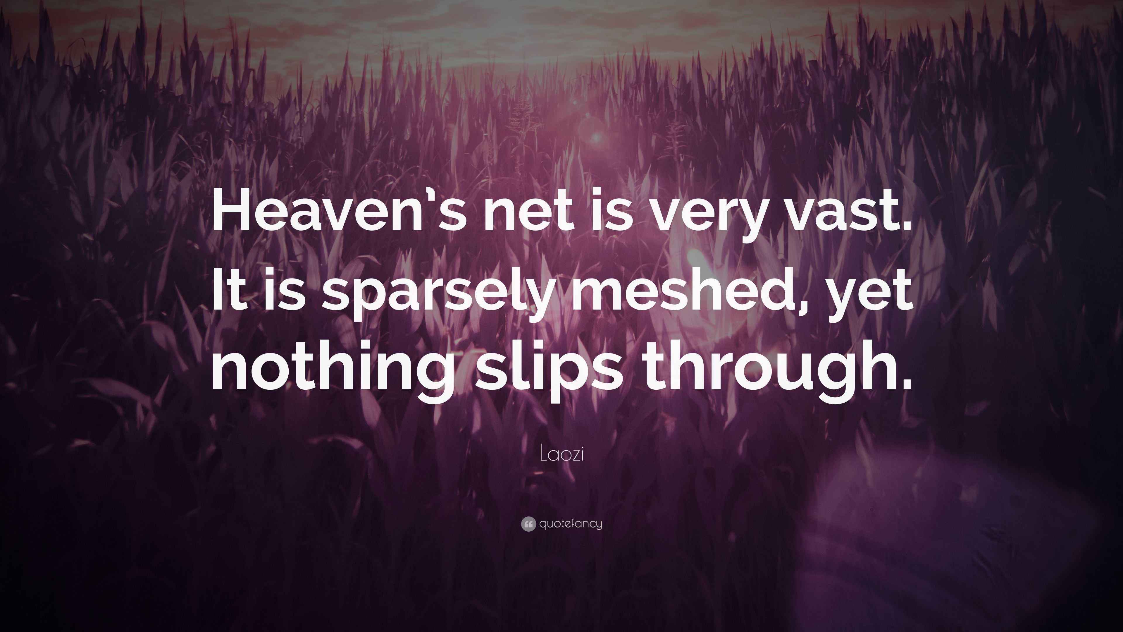 Laozi Quote: “Heaven’s net is very vast. It is sparsely meshed, yet ...