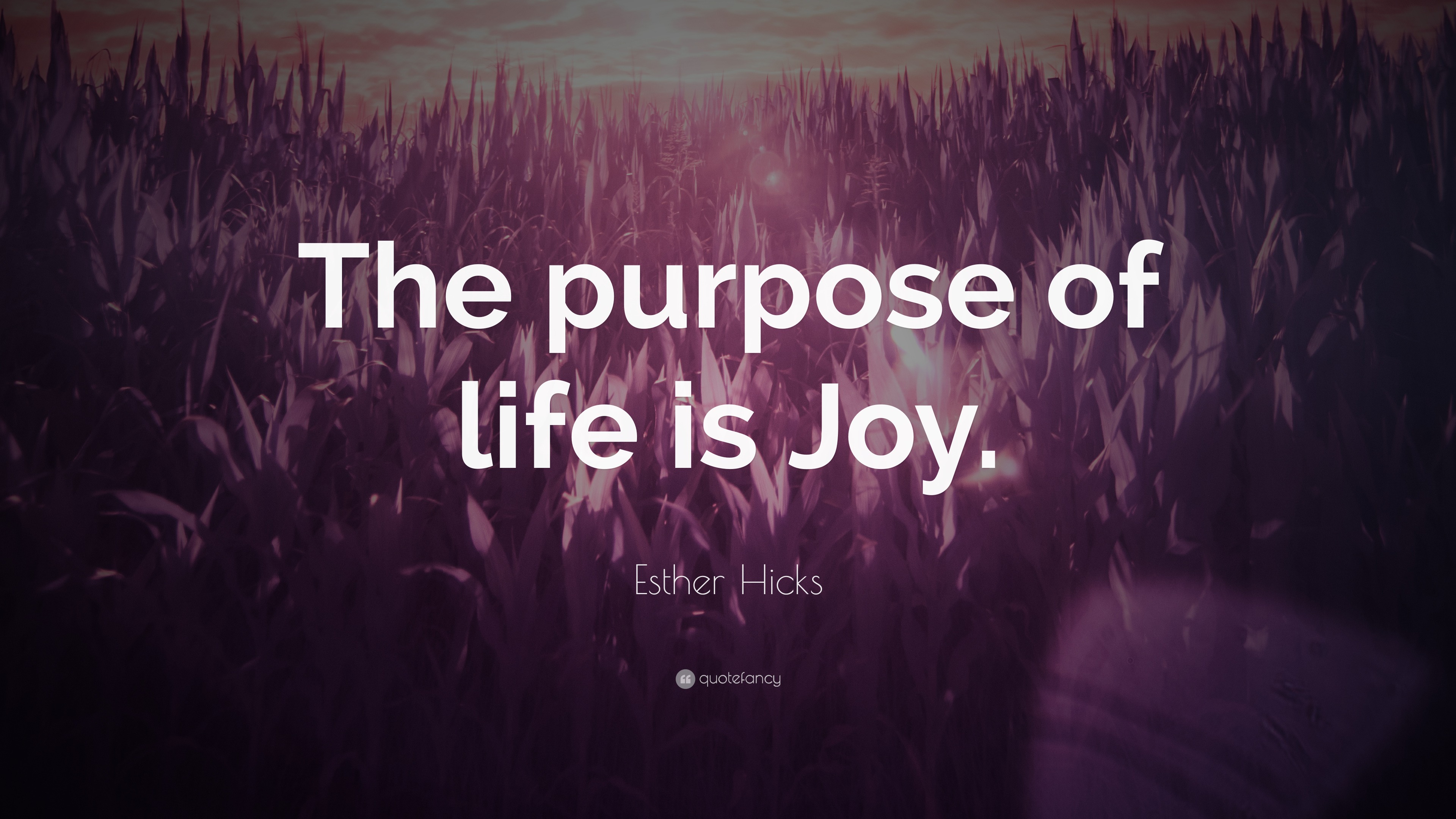 Esther Hicks Quote: “The purpose of life is Joy.”