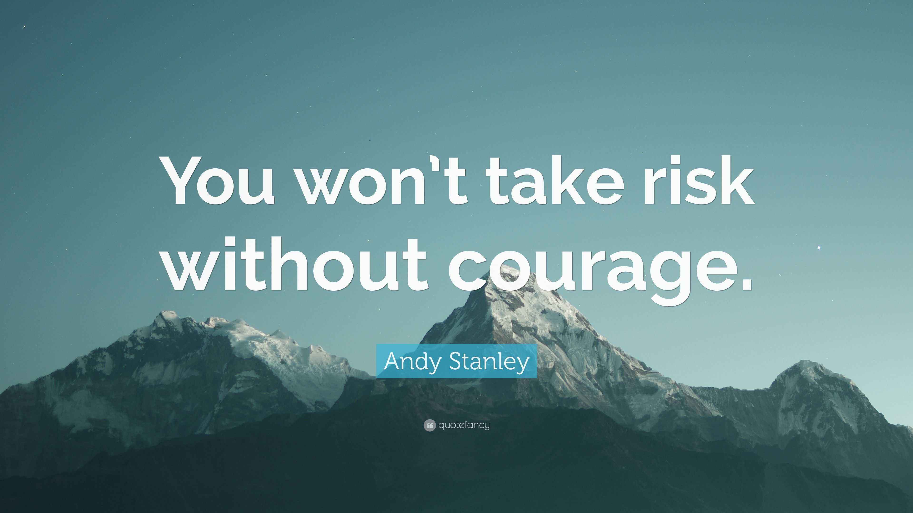 Andy Stanley Quote: “You won’t take risk without courage.”