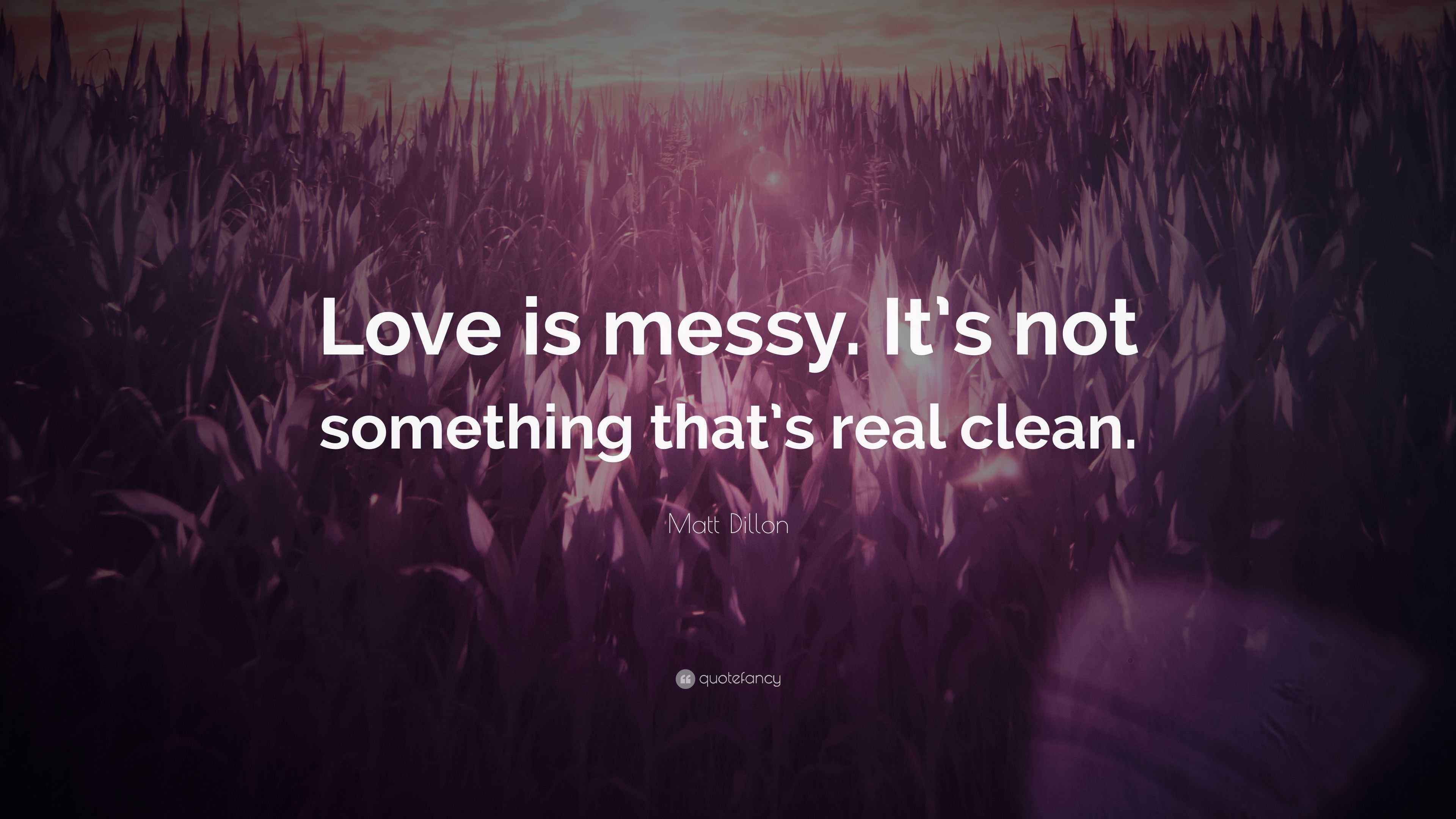 Matt Dillon Quote: “Love is messy. It’s not something that’s real clean.”