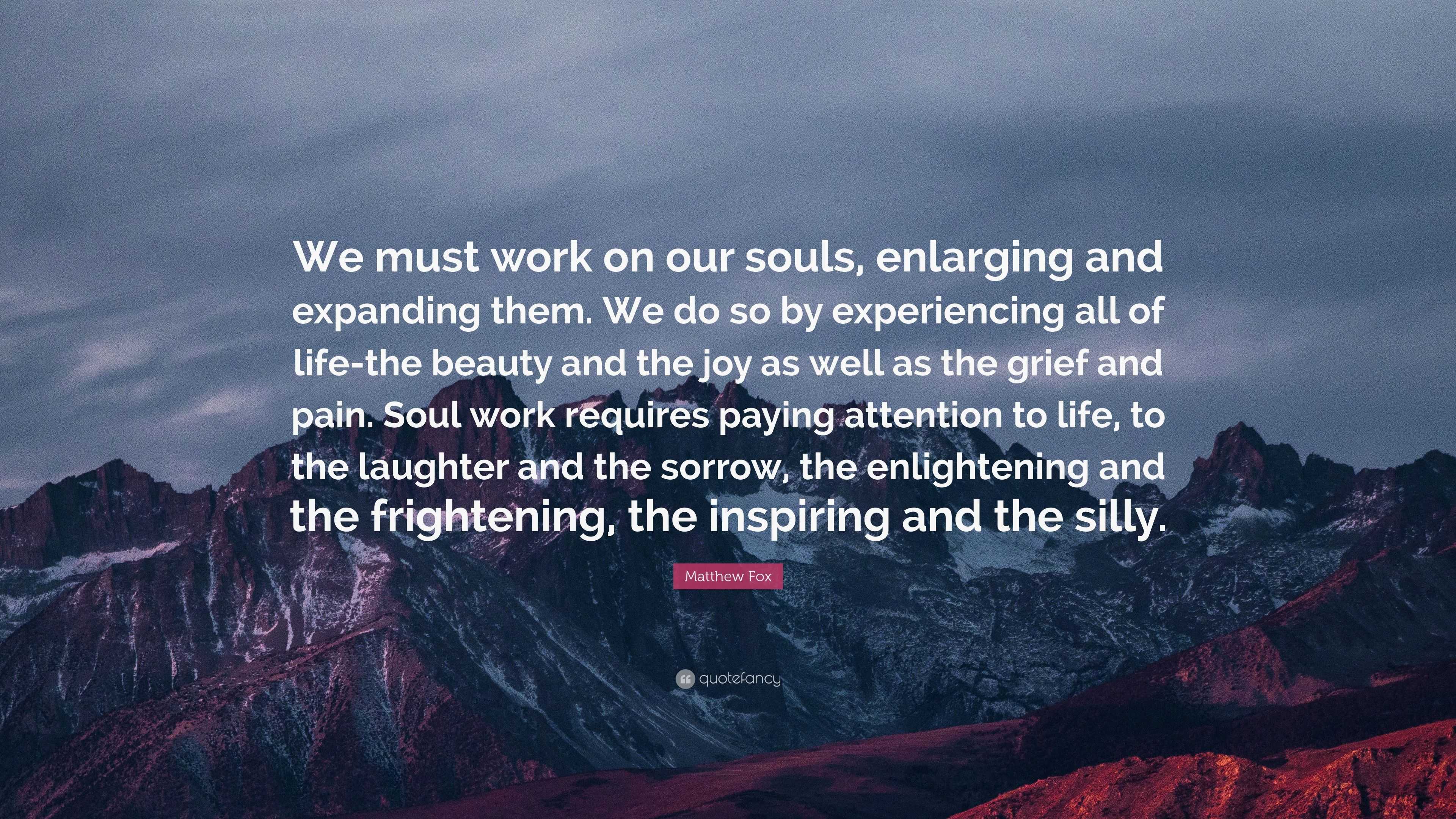 Matthew Fox Quote: “We must work on our souls, enlarging and expanding ...