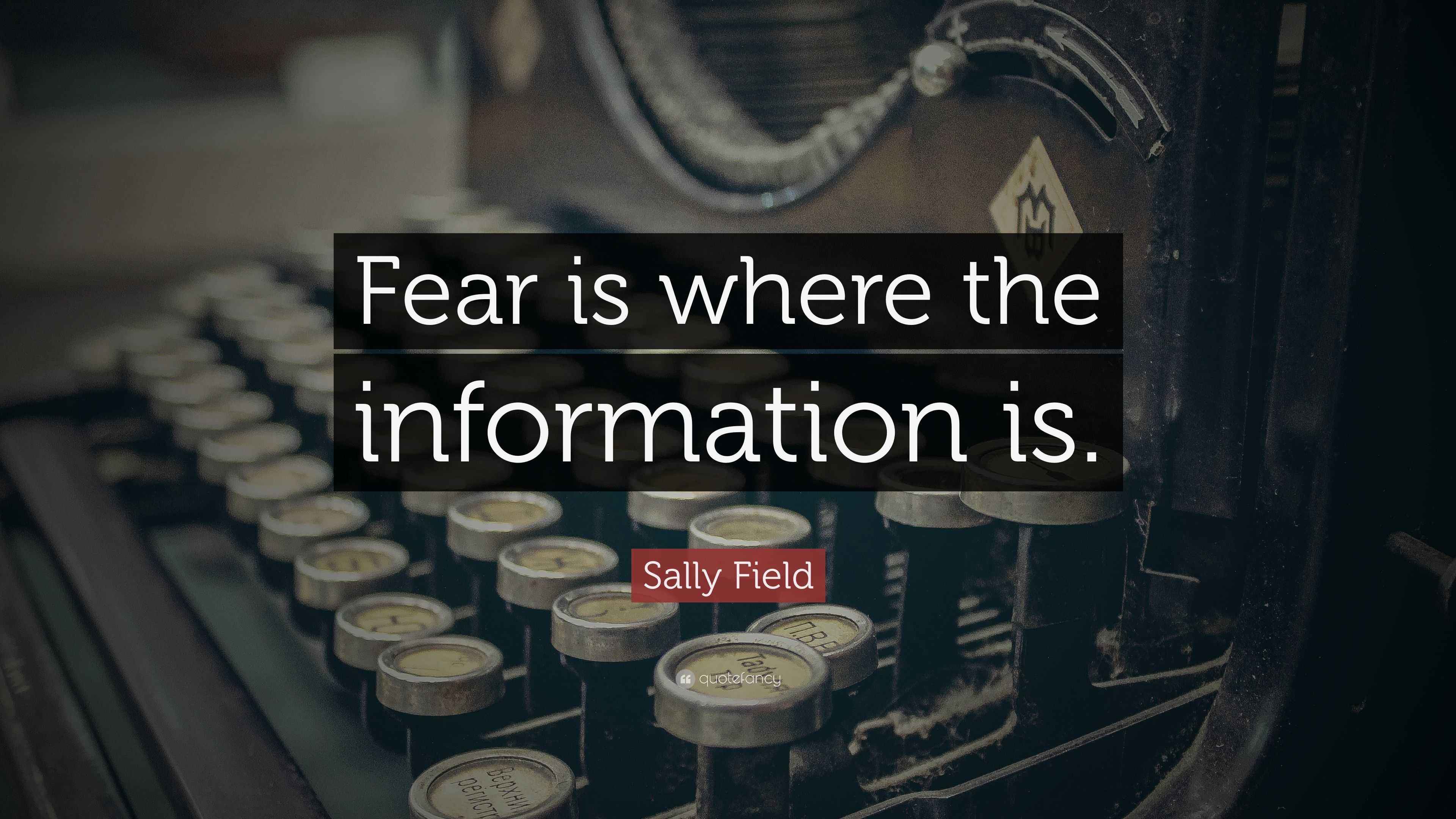Sally Field Quote: “Fear is where the information is.”