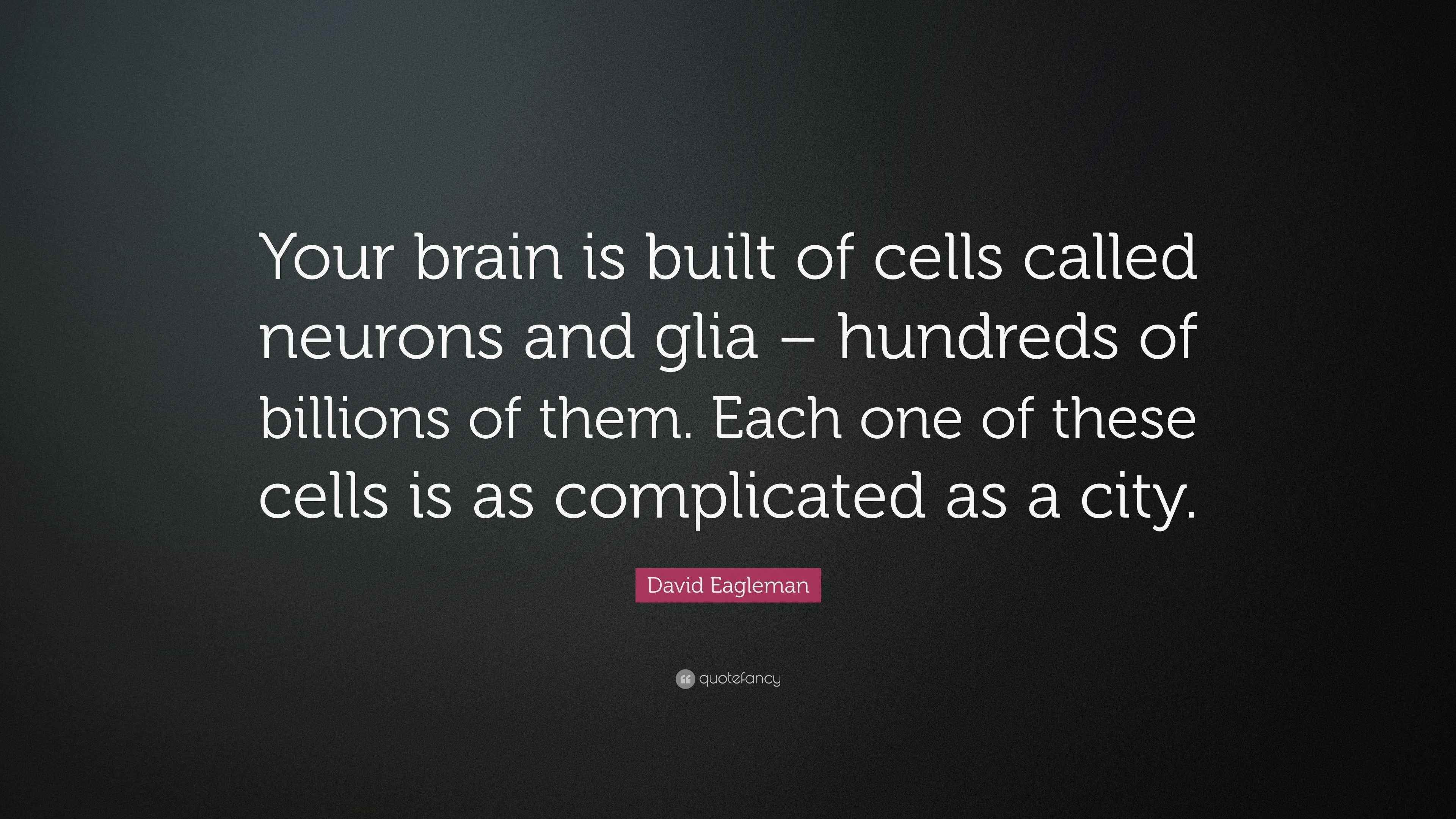 David Eagleman Quote: “Your brain is built of cells called neurons and ...