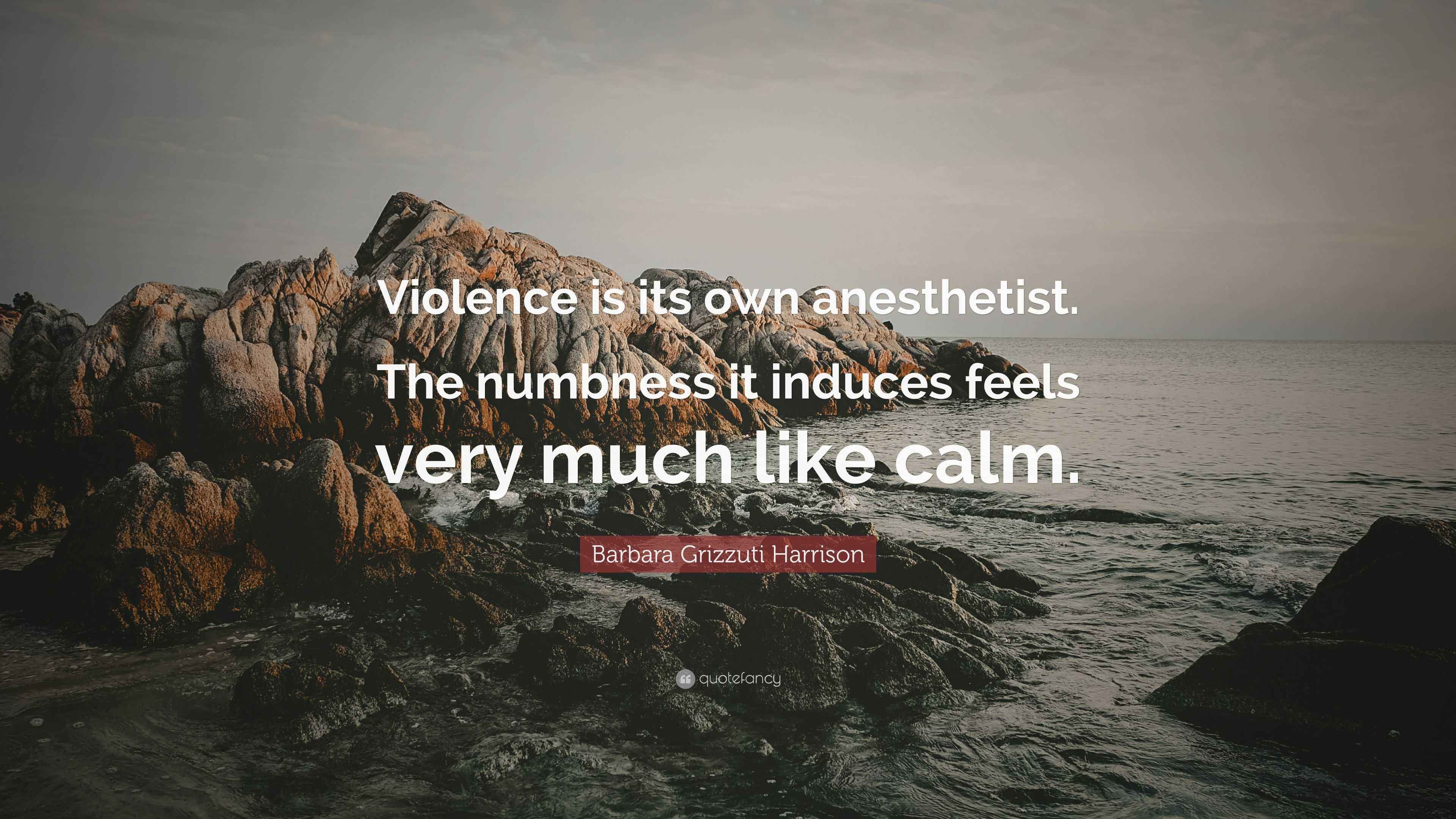 Barbara Grizzuti Harrison Quote: “Violence is its own anesthetist. The ...