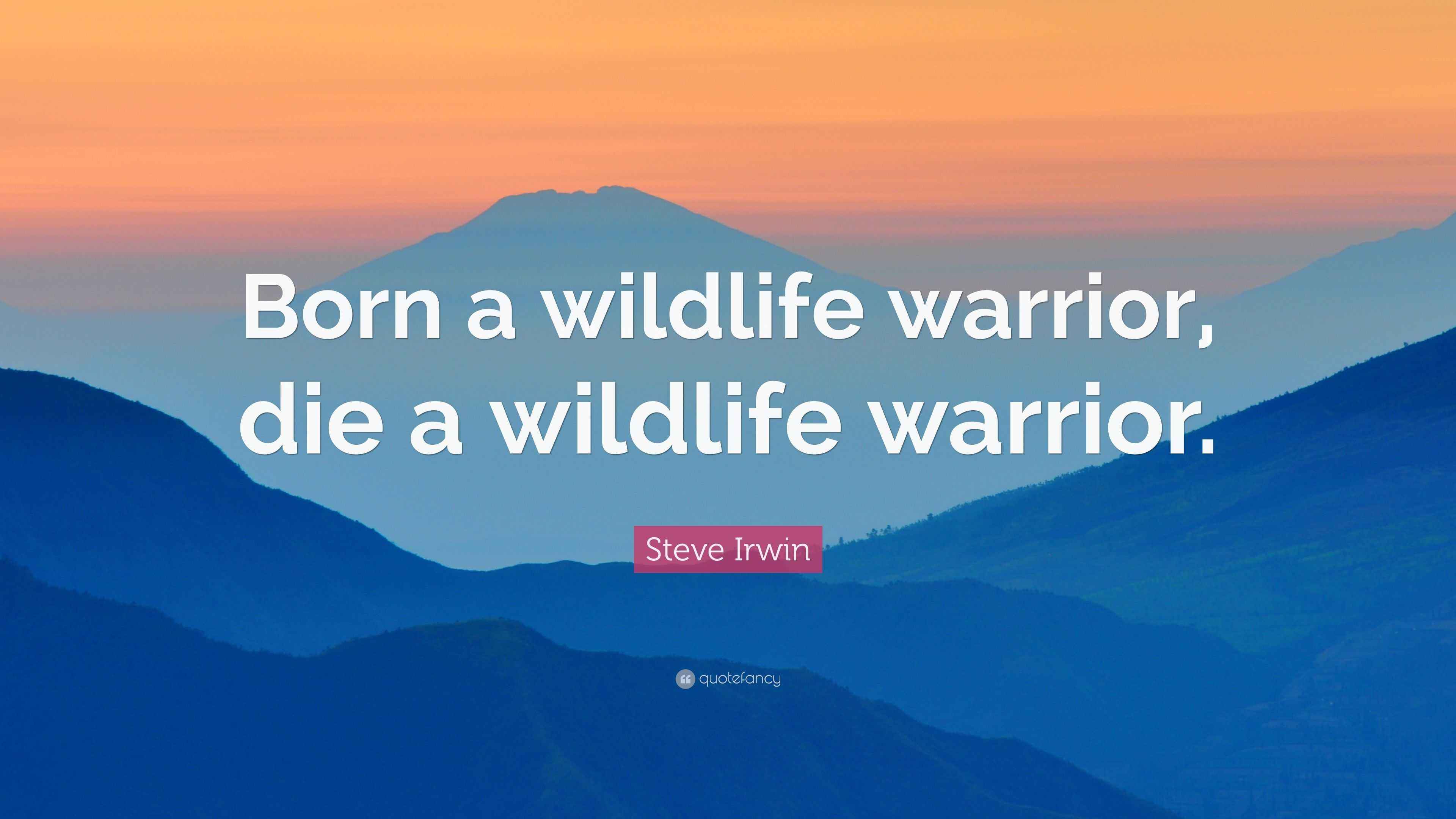 Steve Irwin Quote: “Born a wildlife warrior, die a wildlife warrior.”