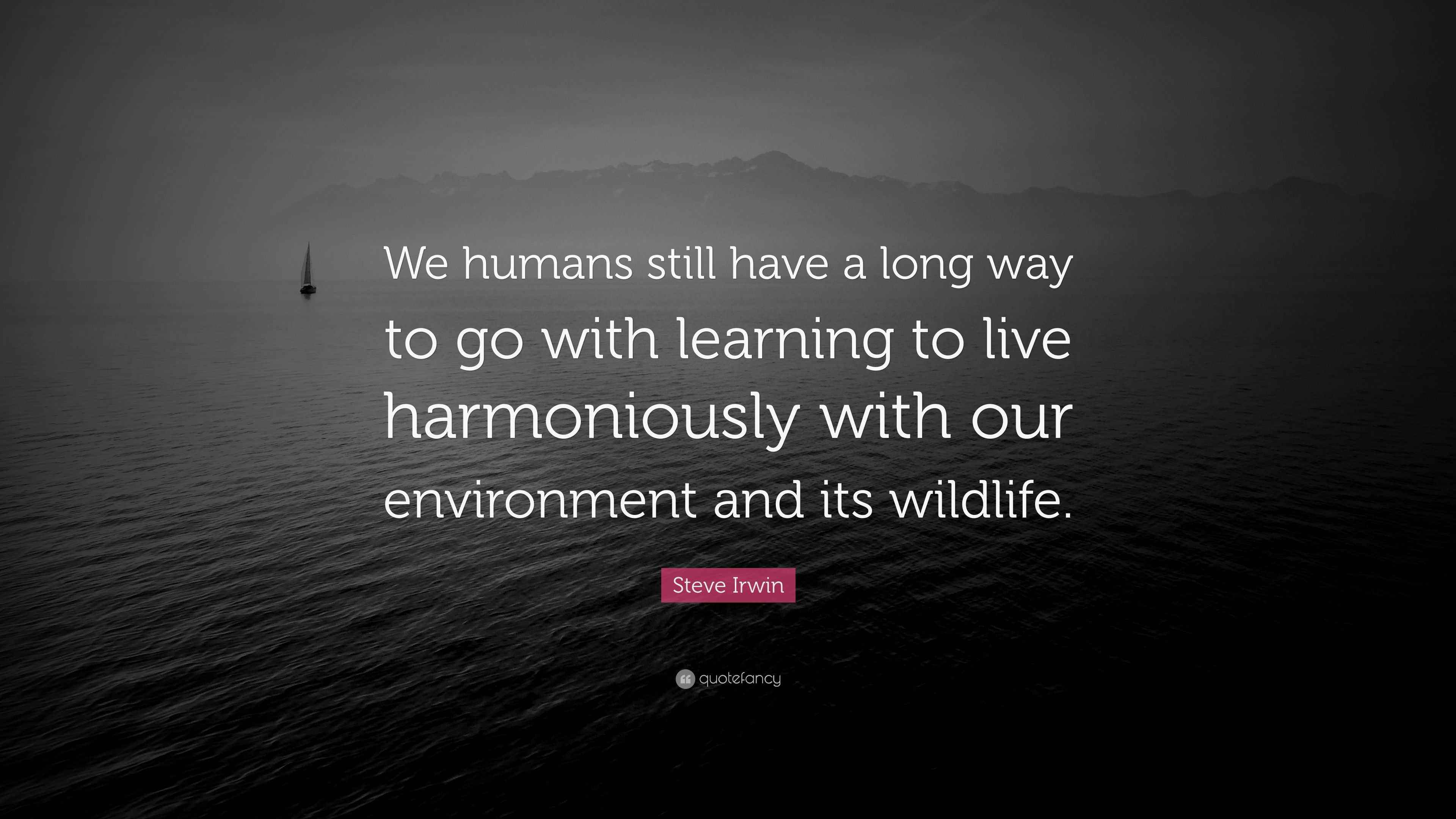 Steve Irwin Quote: “We humans still have a long way to go with learning ...