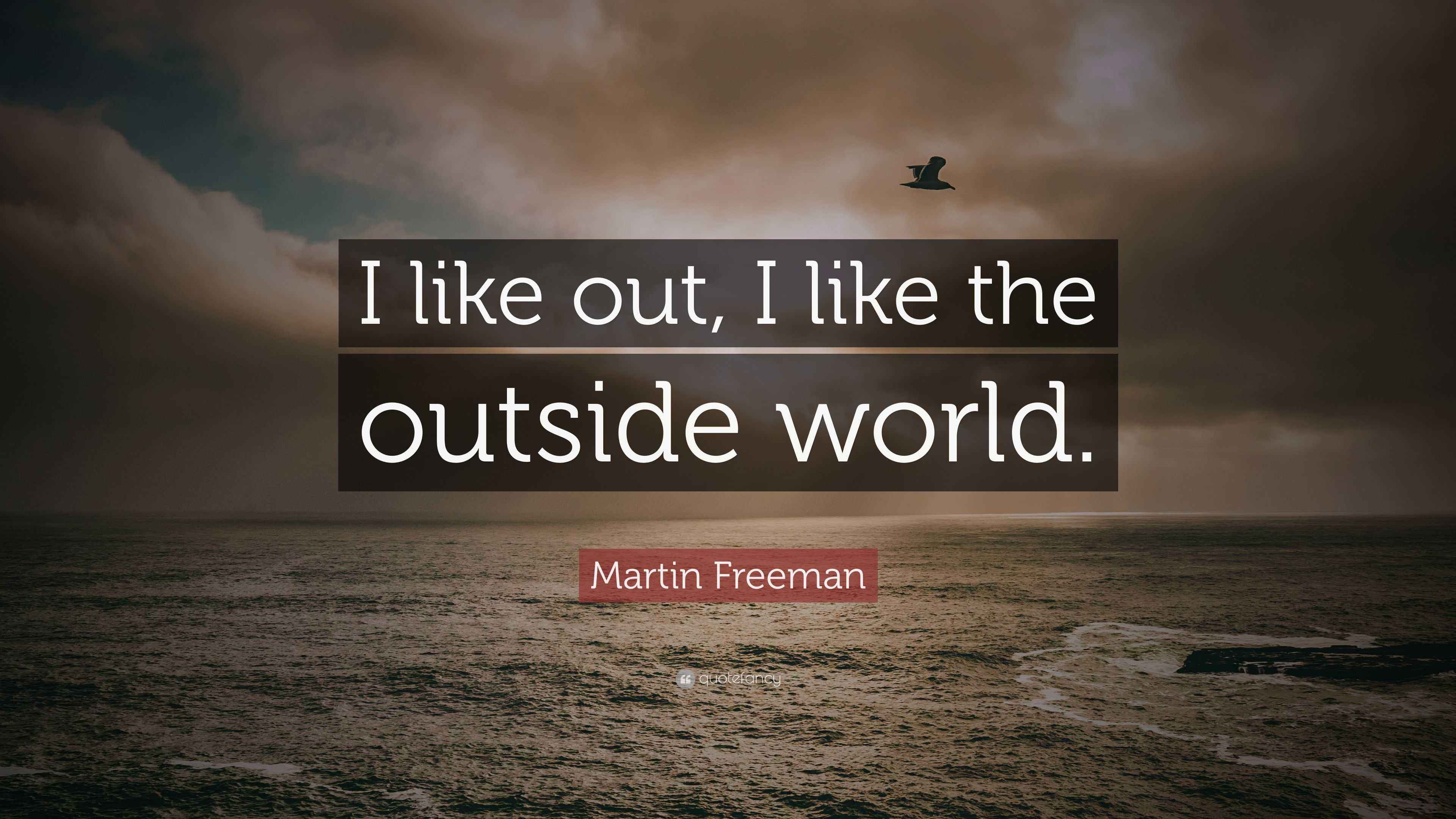 Martin Freeman Quote: “I like out, I like the outside world.”