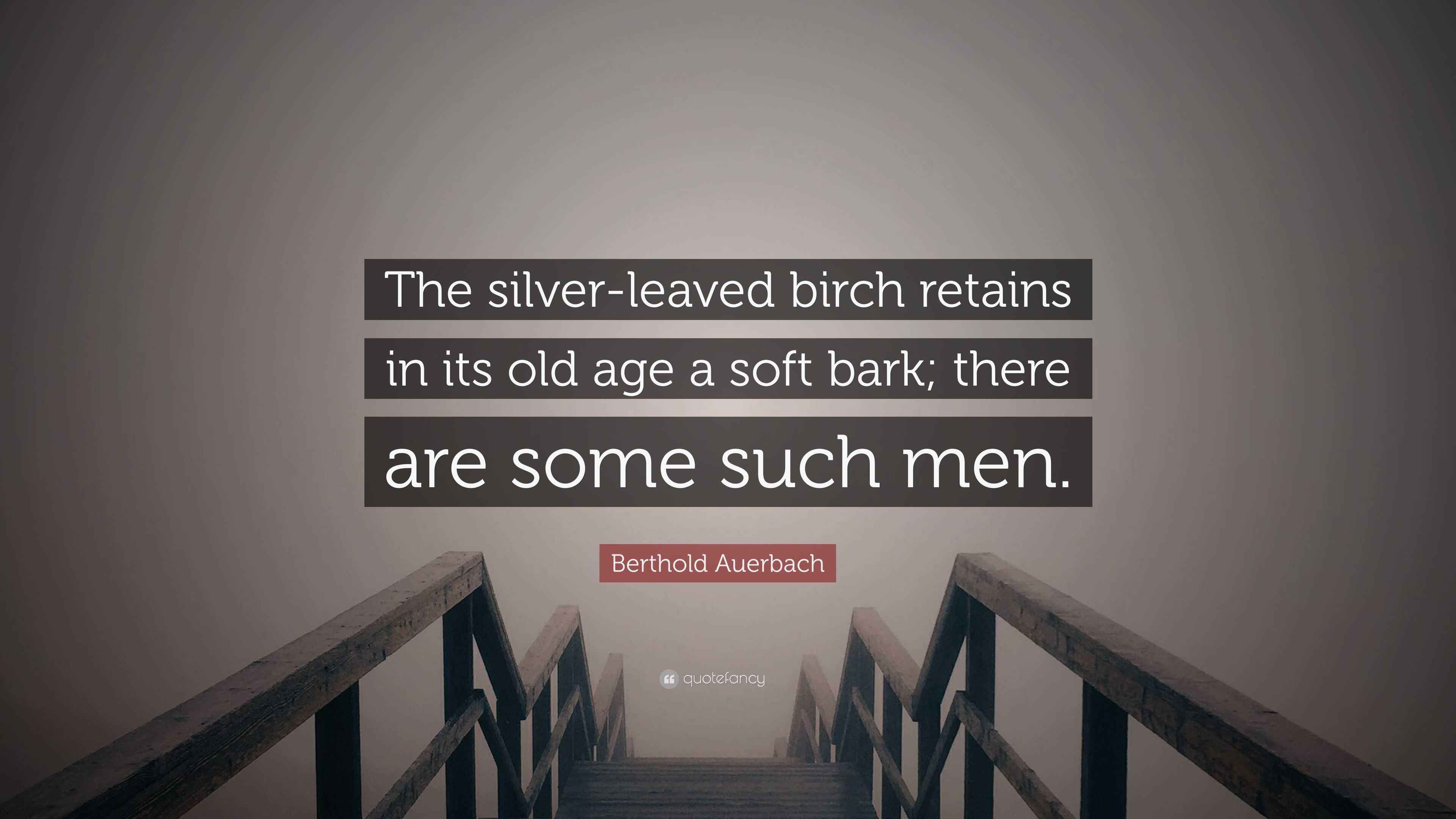 Berthold Auerbach Quote: “The silver-leaved birch retains in its old ...