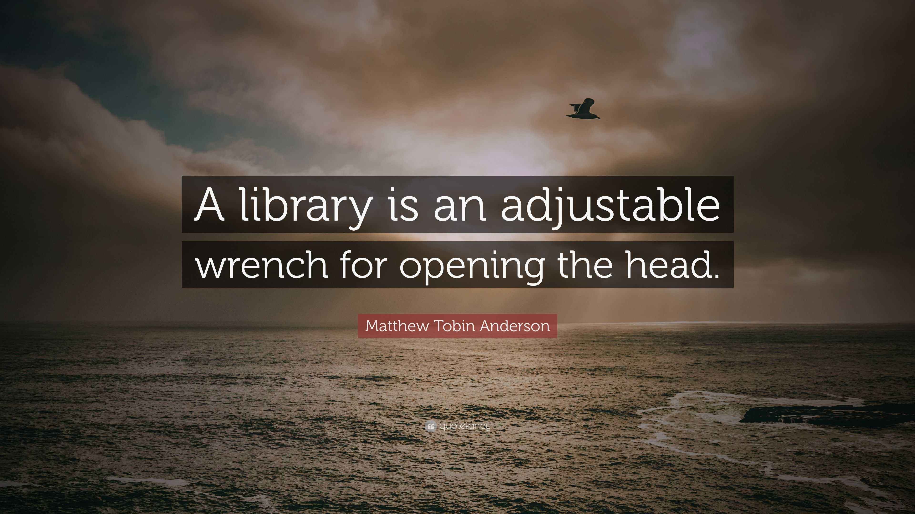 Matthew Tobin Anderson Quote: “A library is an adjustable wrench for ...