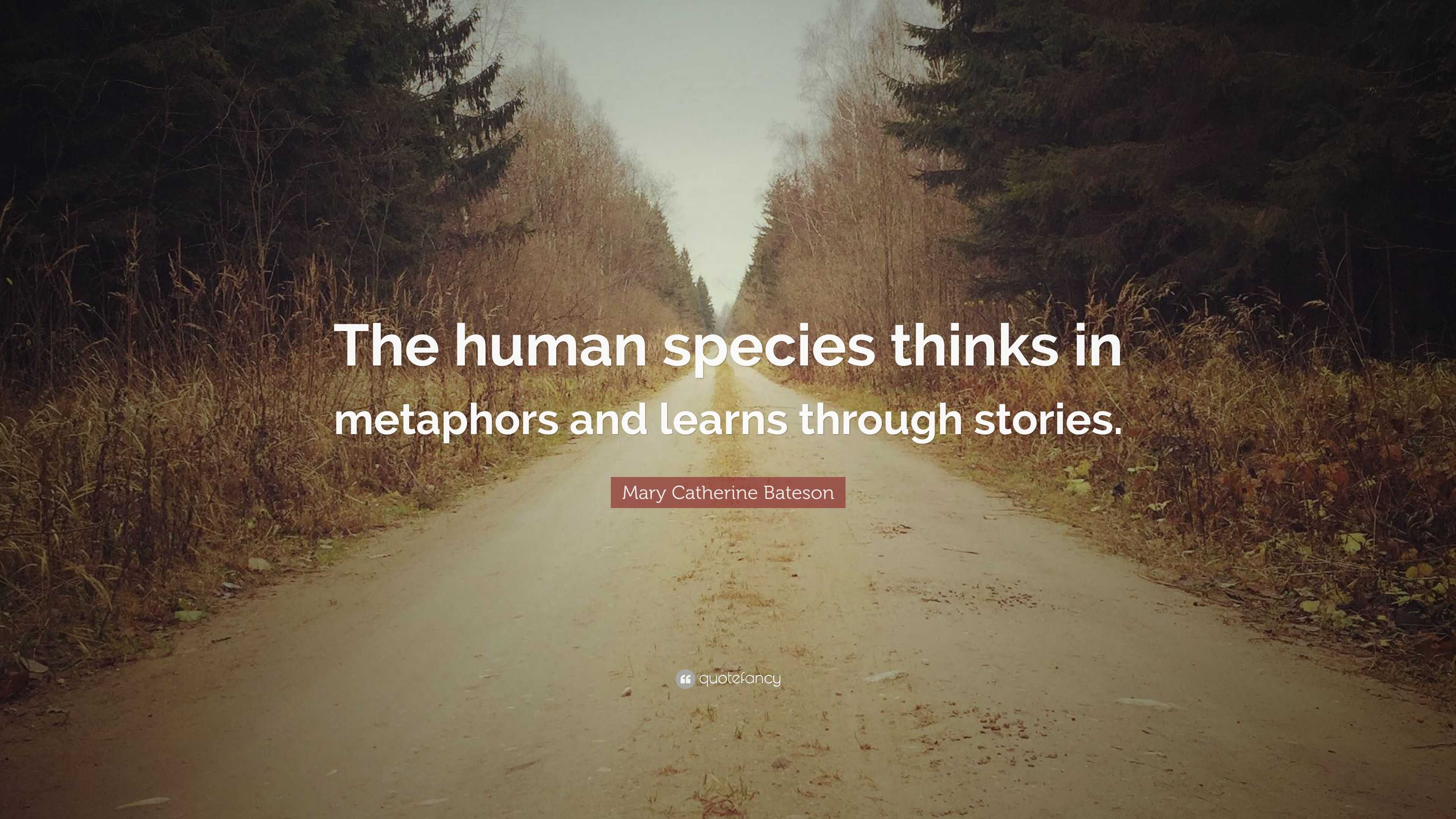 Mary Catherine Bateson Quote: “The human species thinks in metaphors ...