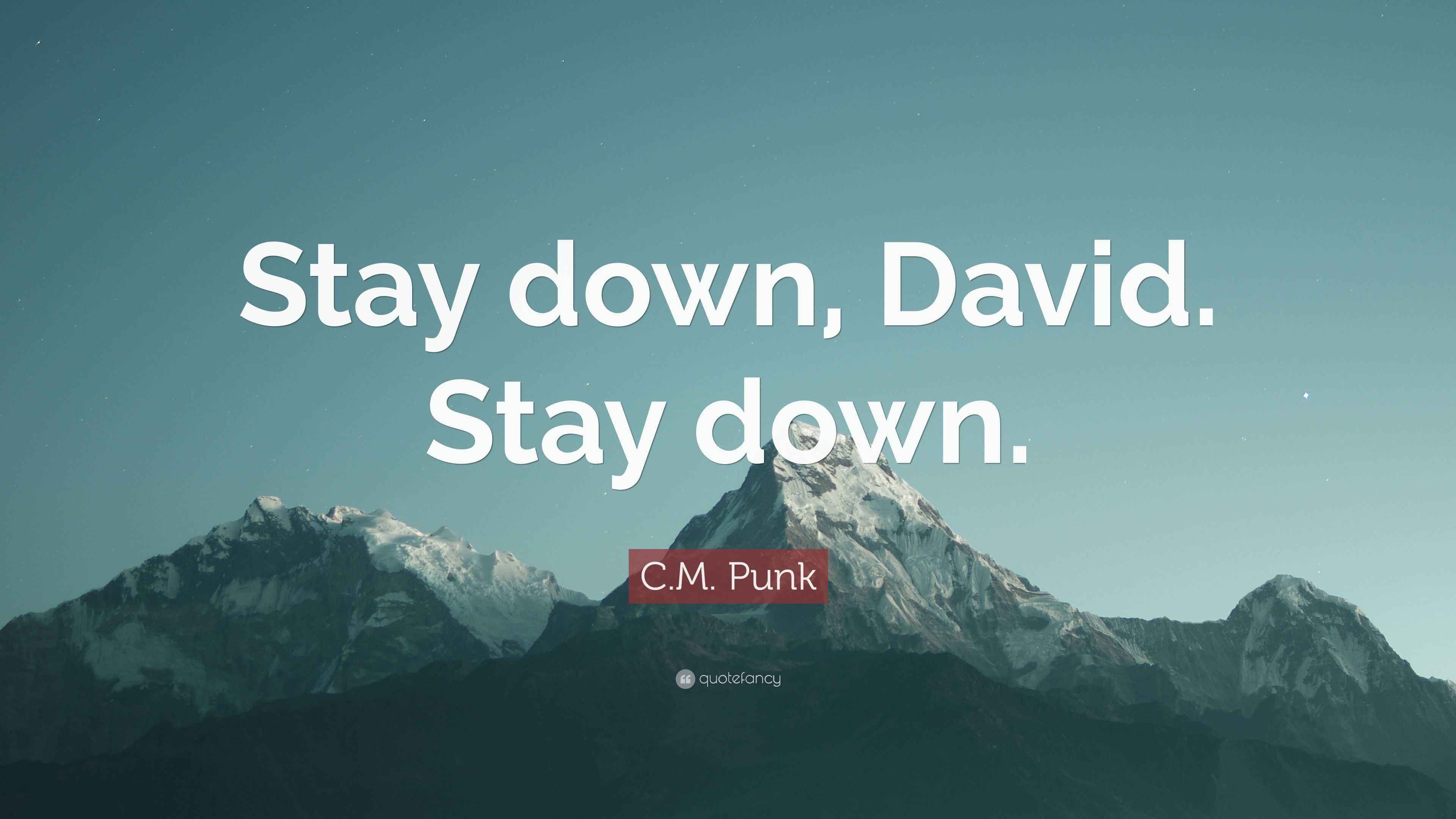 C.M. Punk Quote: “Stay down, David. Stay down.”