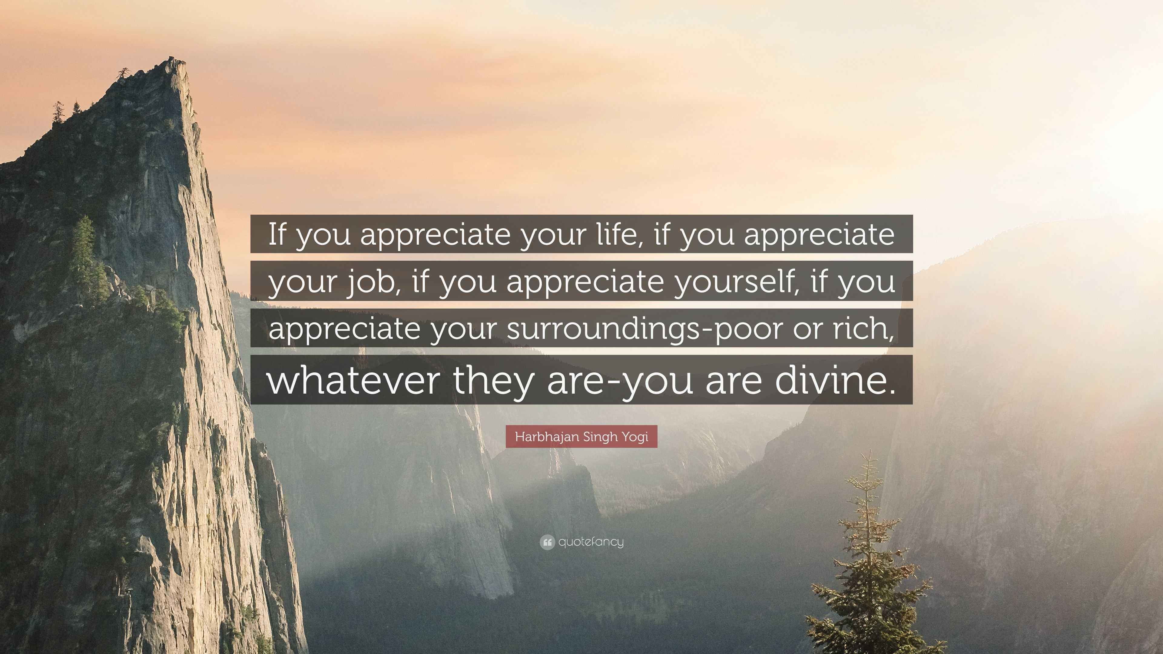 Harbhajan Singh Yogi Quote: “If you appreciate your life, if you ...