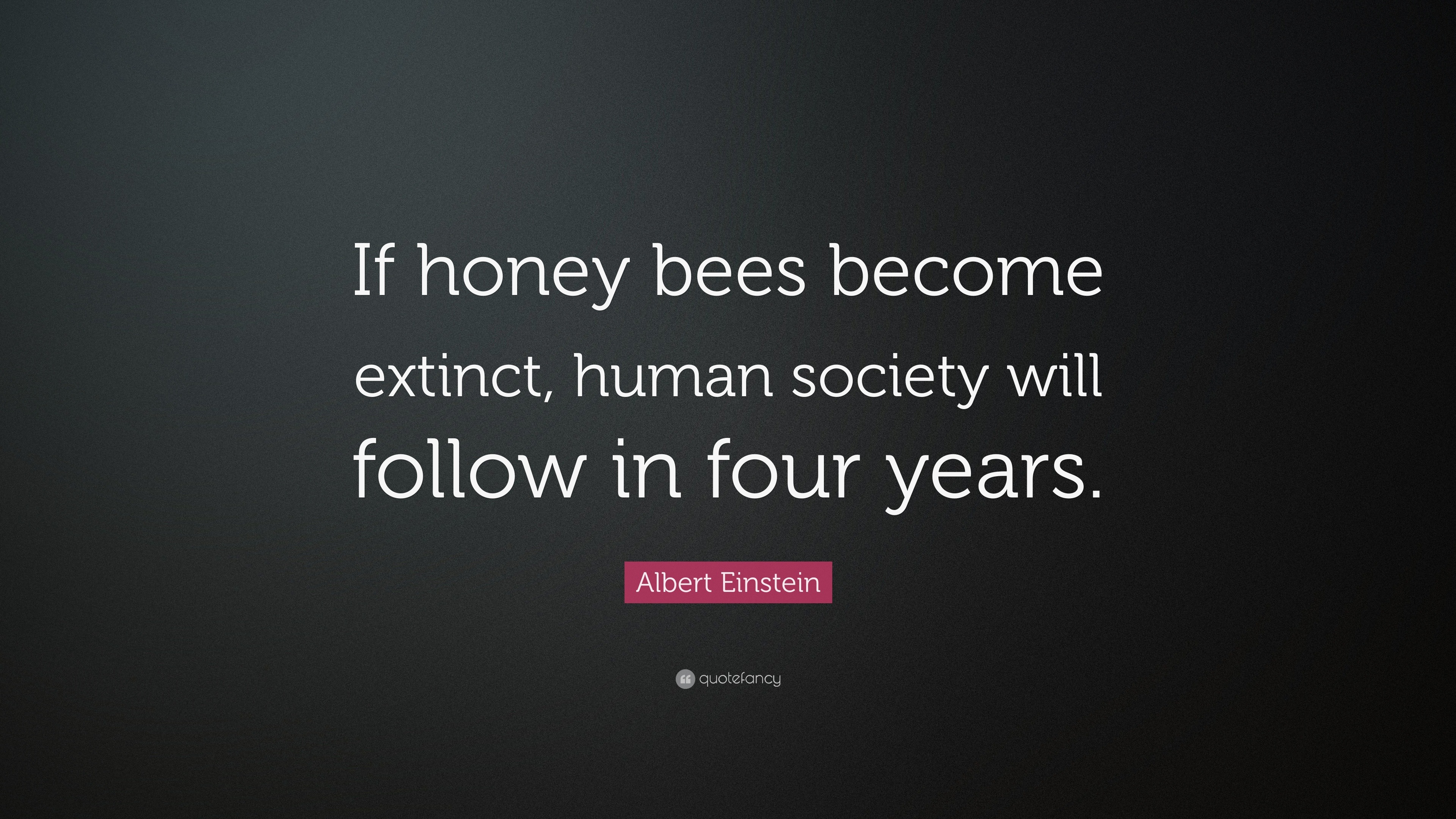 Albert Einstein Quote: “If honey bees become extinct, human society ...