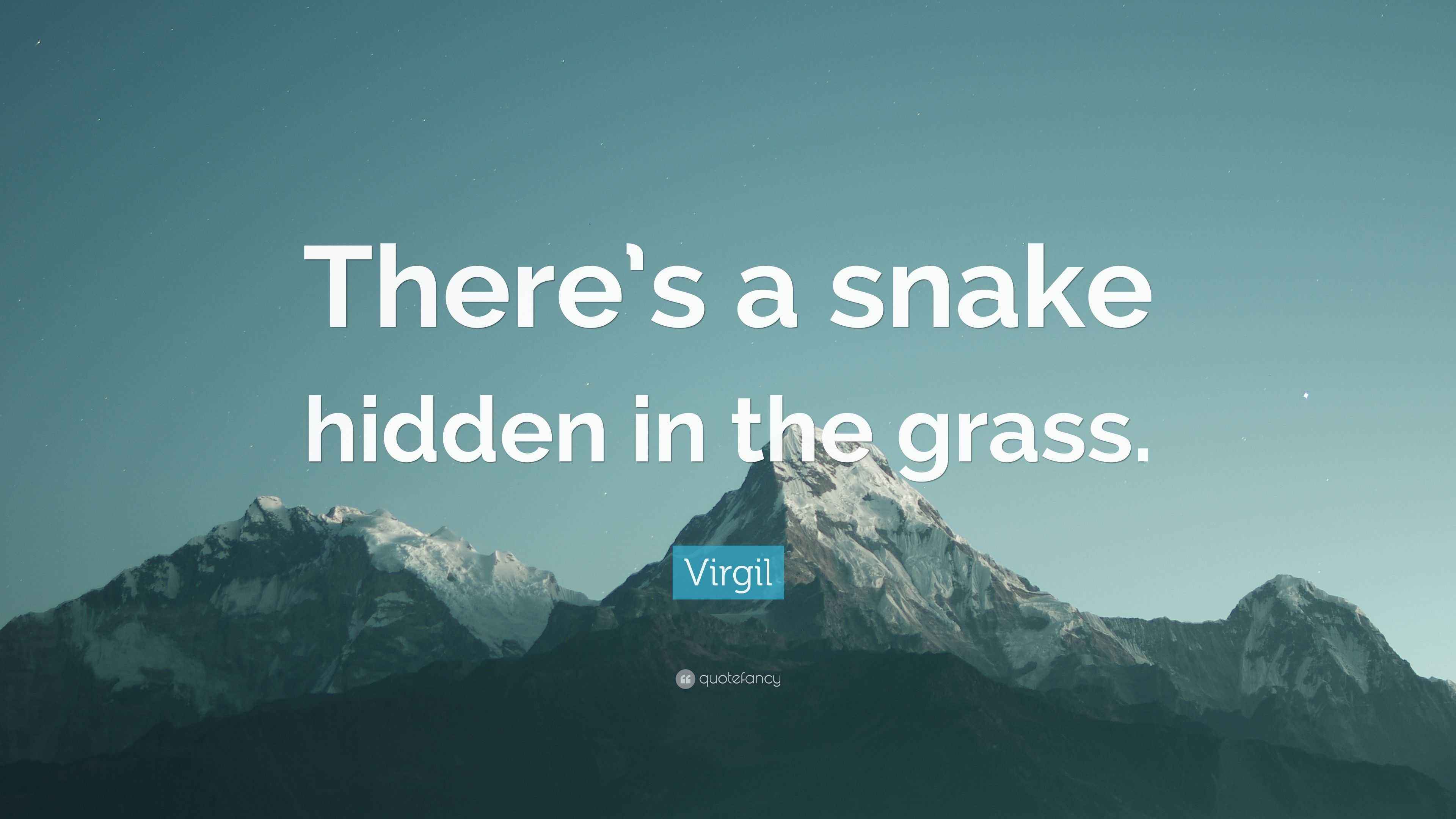 Virgil Quote: “There’s a snake hidden in the grass.”