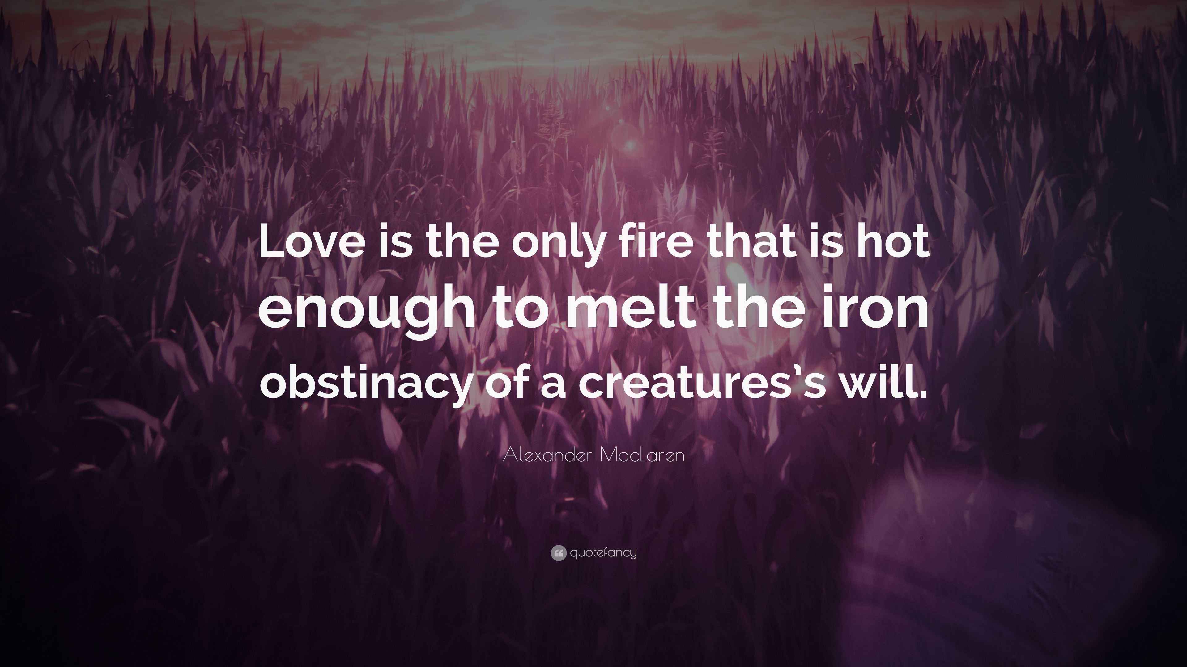 Alexander MacLaren Quote: “Love is the only fire that is hot enough to ...