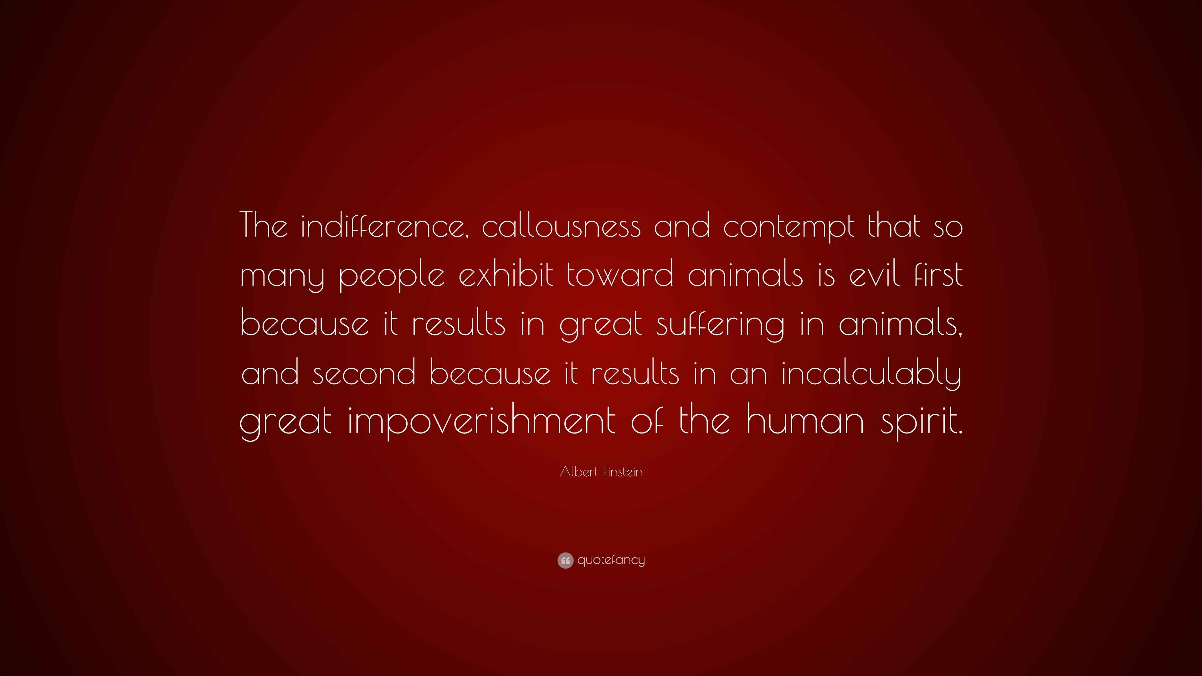 Albert Einstein Quote: “The indifference, callousness and contempt that ...