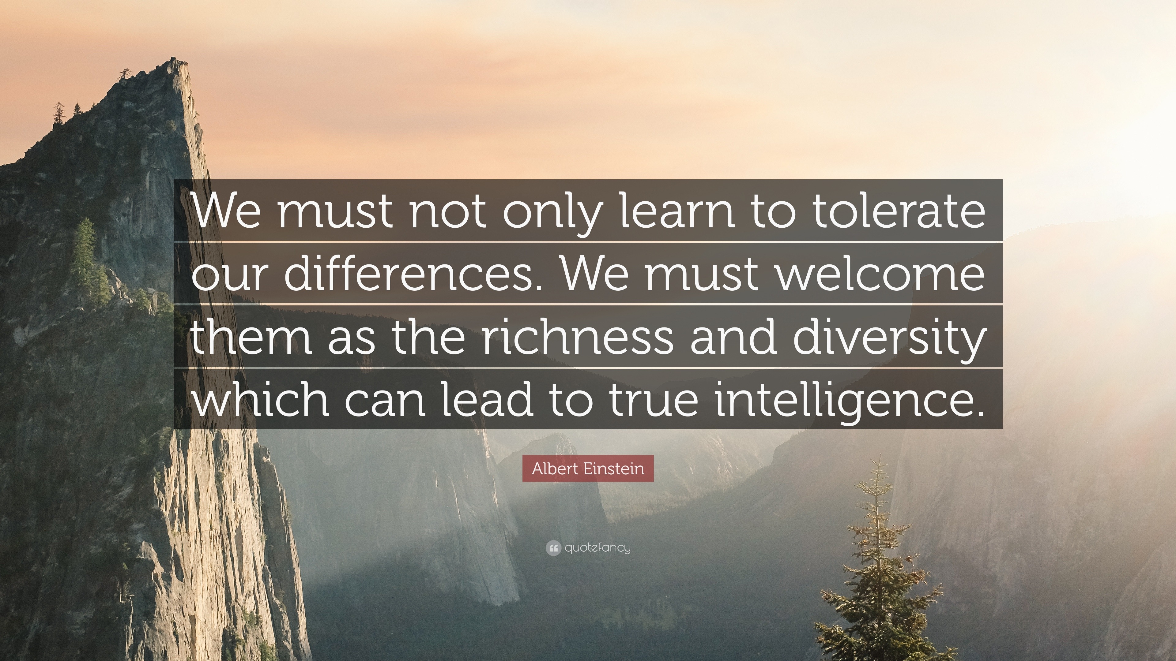 Albert Einstein Quote: “We must not only learn to tolerate our ...