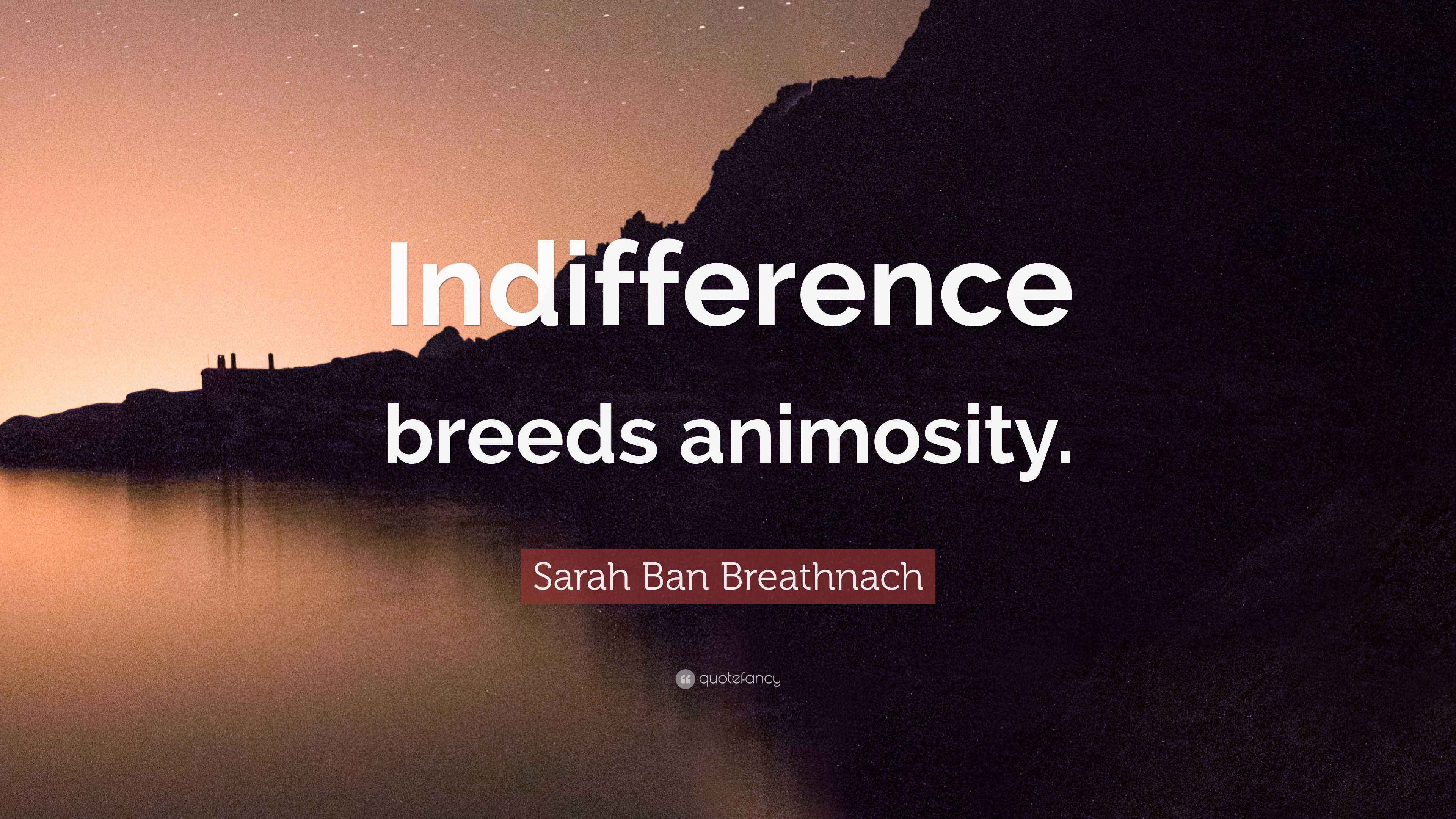Sarah Ban Breathnach Quote: “Indifference breeds animosity.”