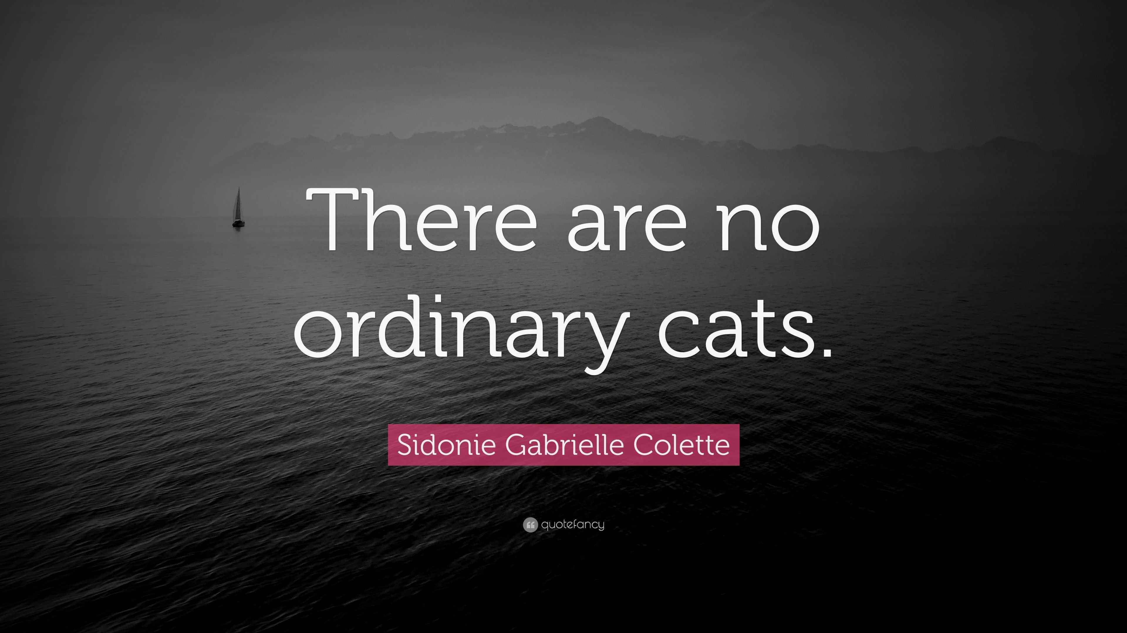 Sidonie Gabrielle Colette Quote: “There are no ordinary cats.”