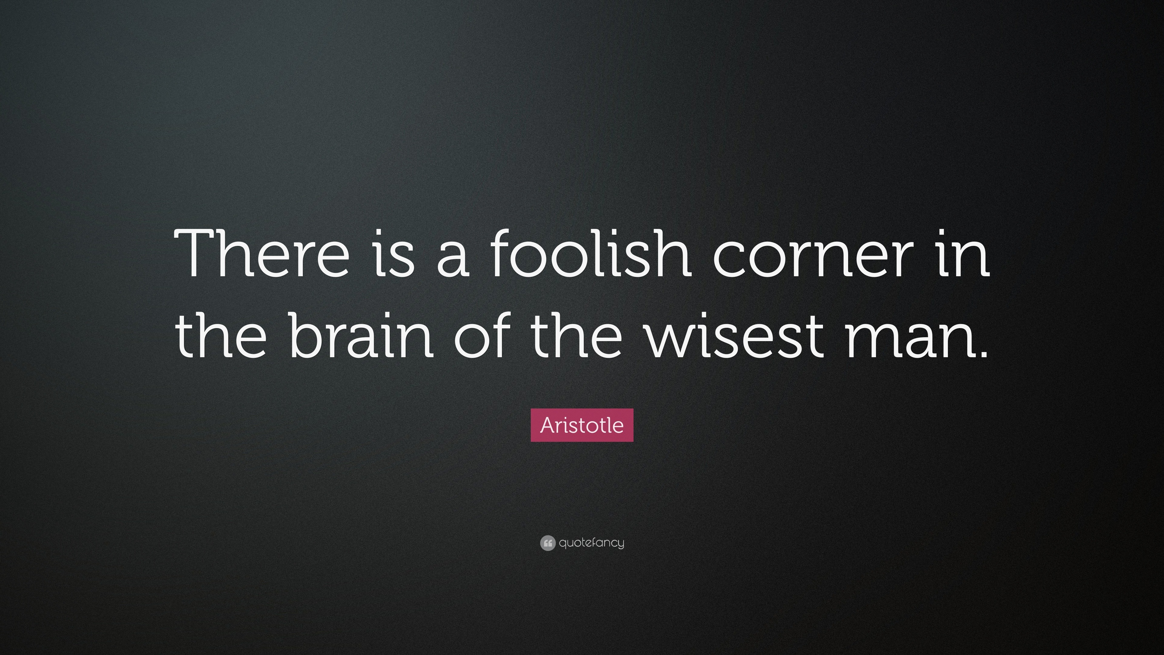 Aristotle Quote: “There is a foolish corner in the brain of the wisest ...