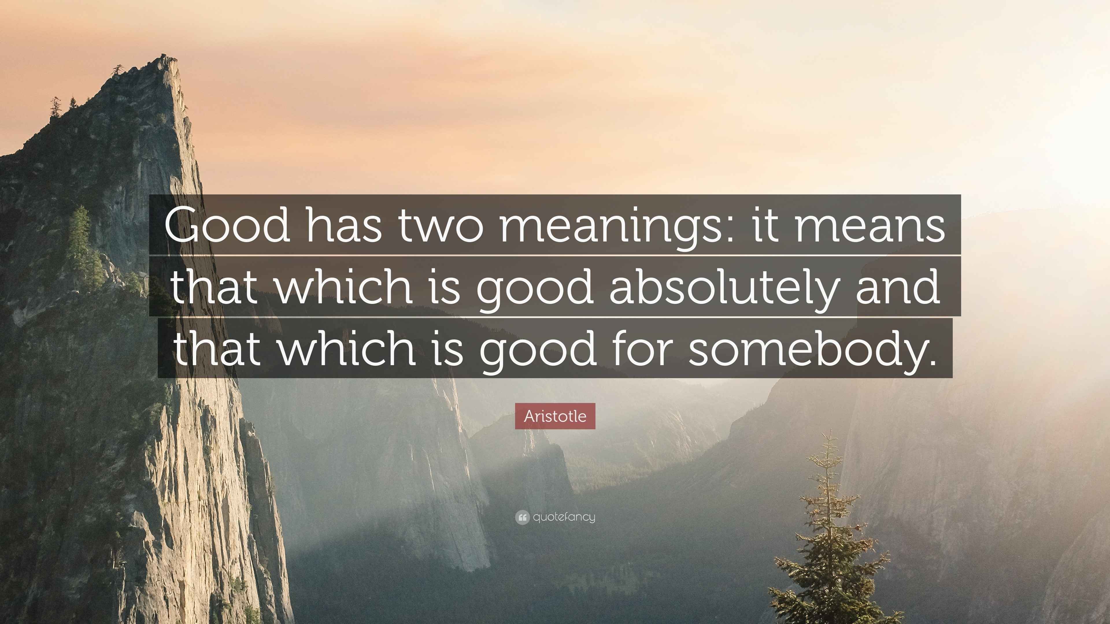 Aristotle Quote: “Good has two meanings: it means that which is good ...